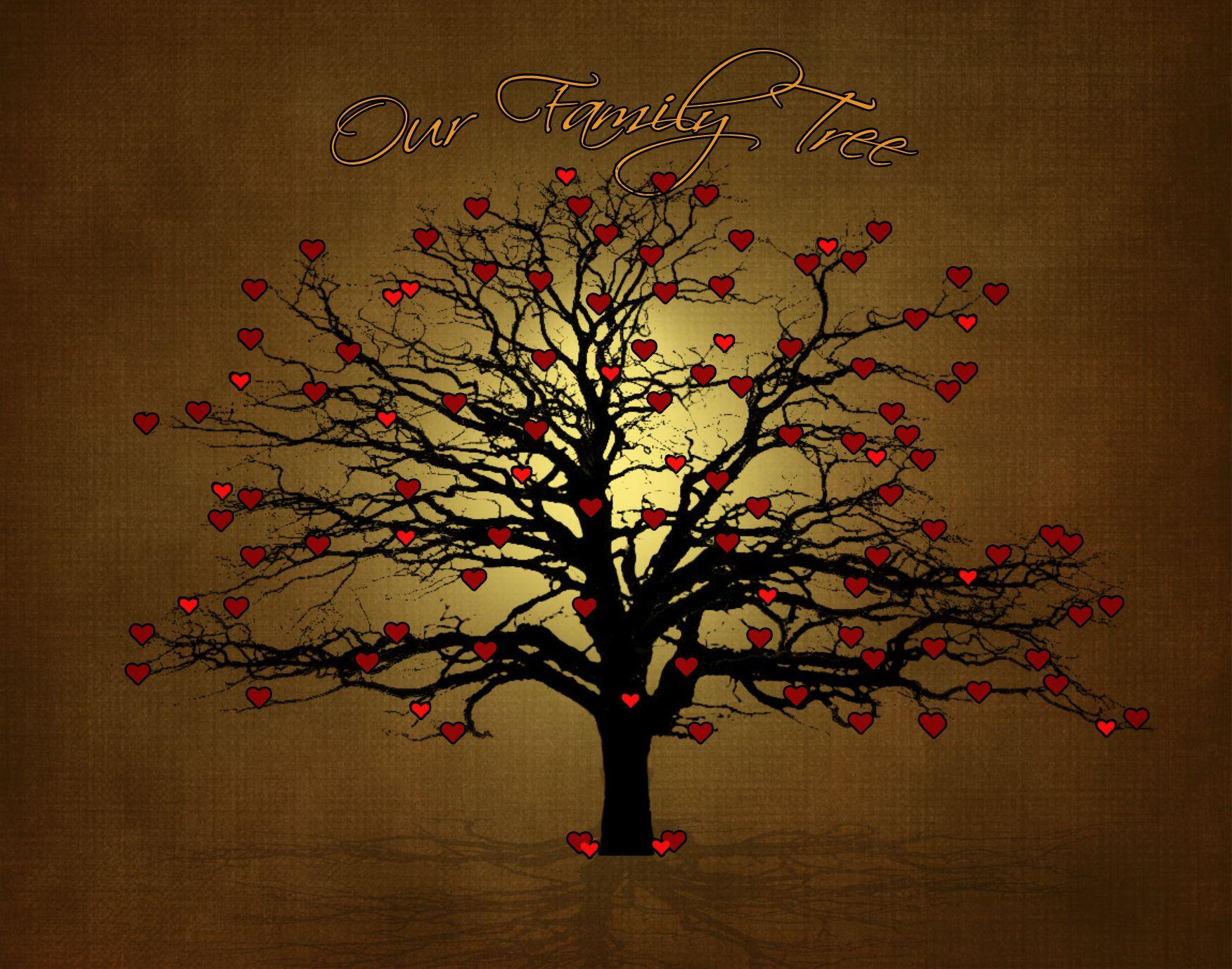 Book Tree Wallpapers - Top Free Book Tree Backgrounds - WallpaperAccess