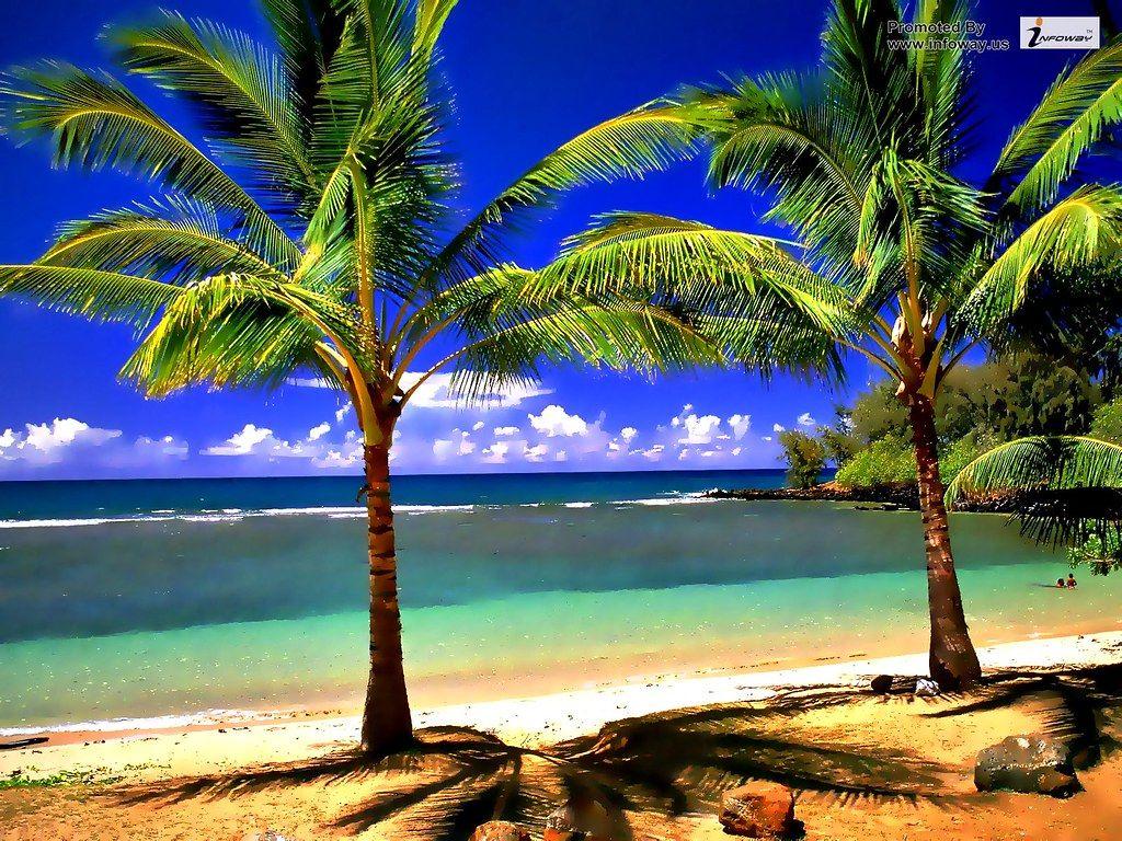 Tropical Waterfalls Wallpapers - Top Free Tropical Waterfalls ...