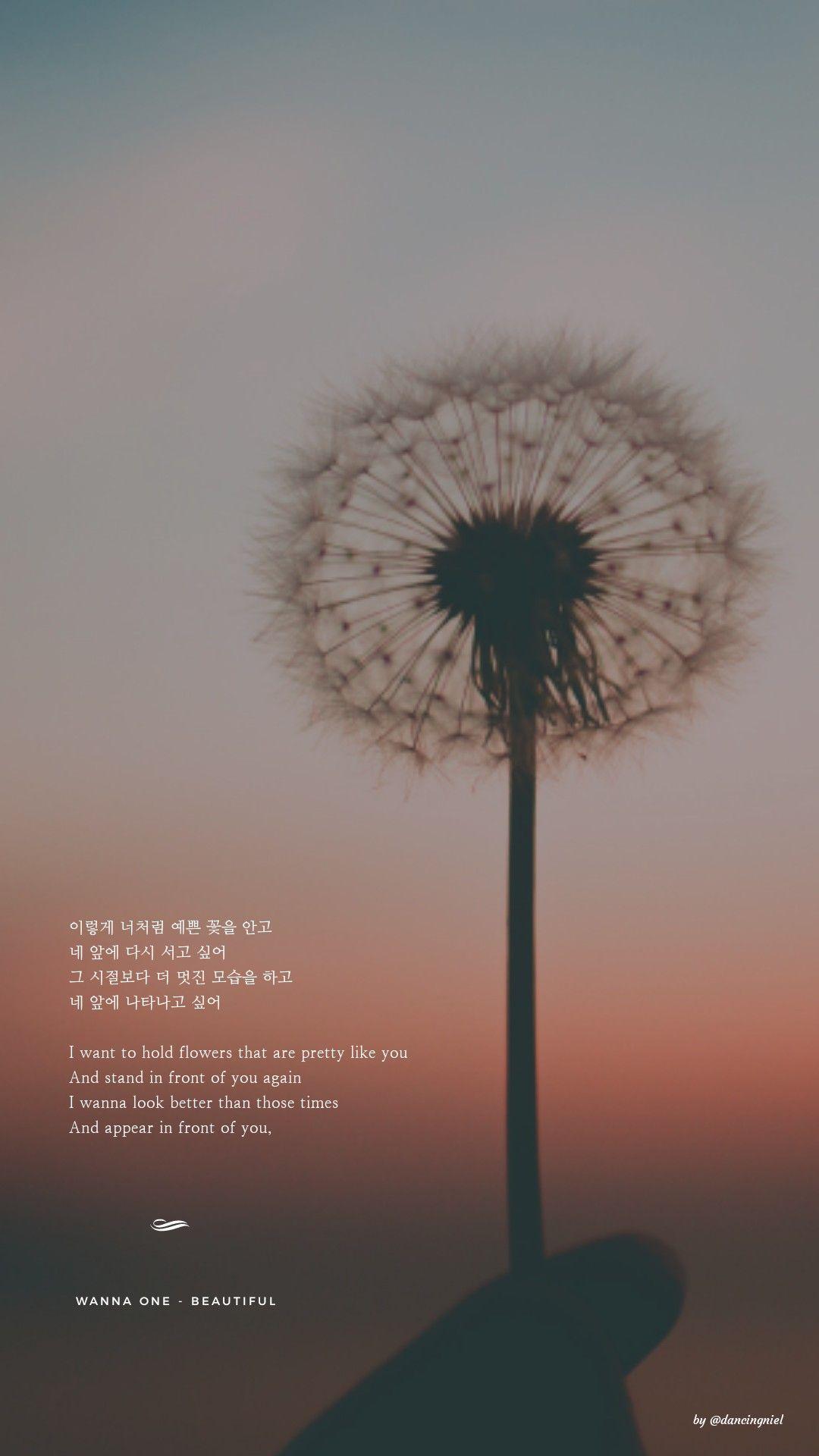 Beautiful Song Lyrics Wallpapers - Top Free Beautiful Song Lyrics ...