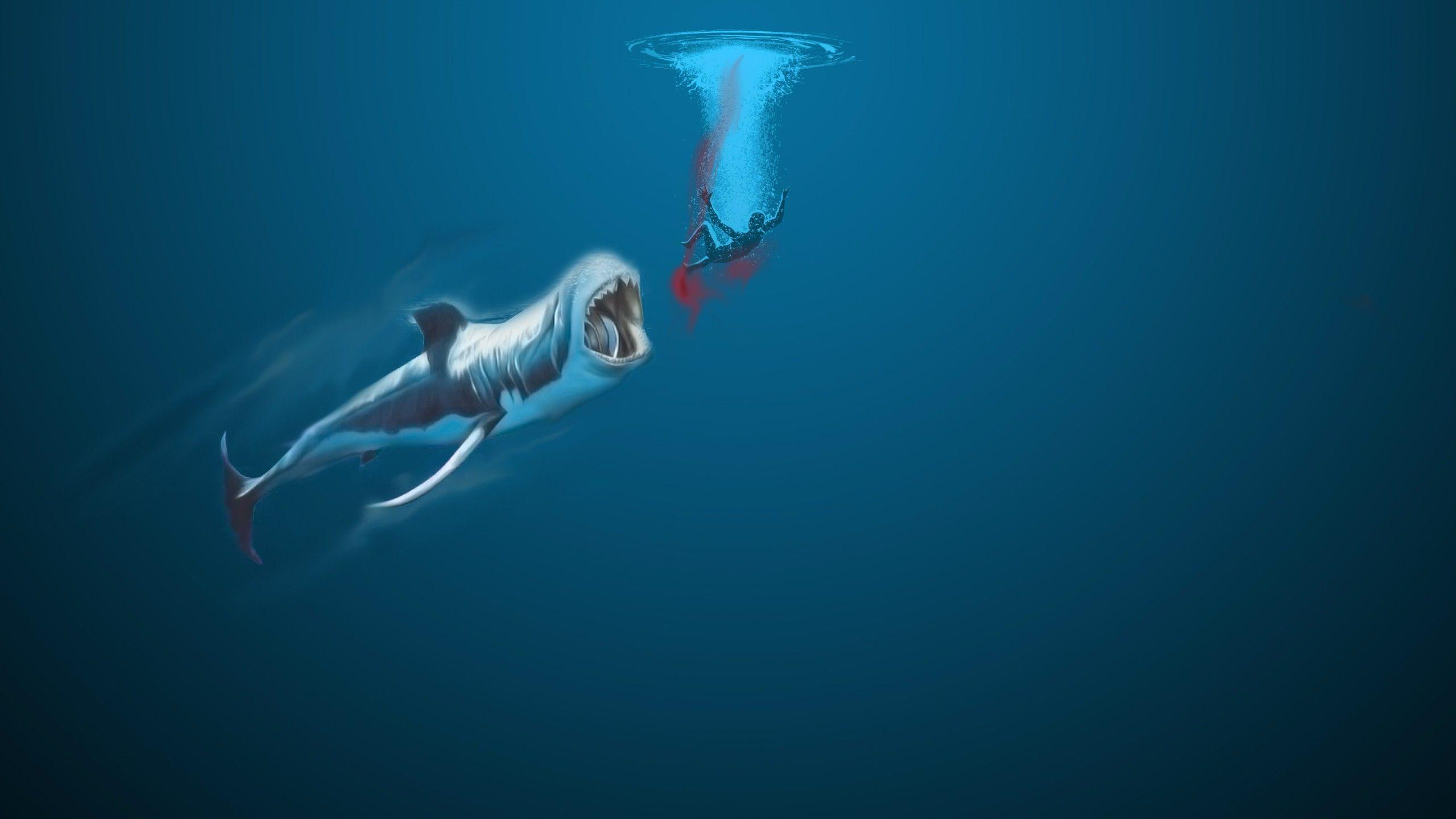 Shark Attack Wallpapers - Top Free Shark Attack Backgrounds ...