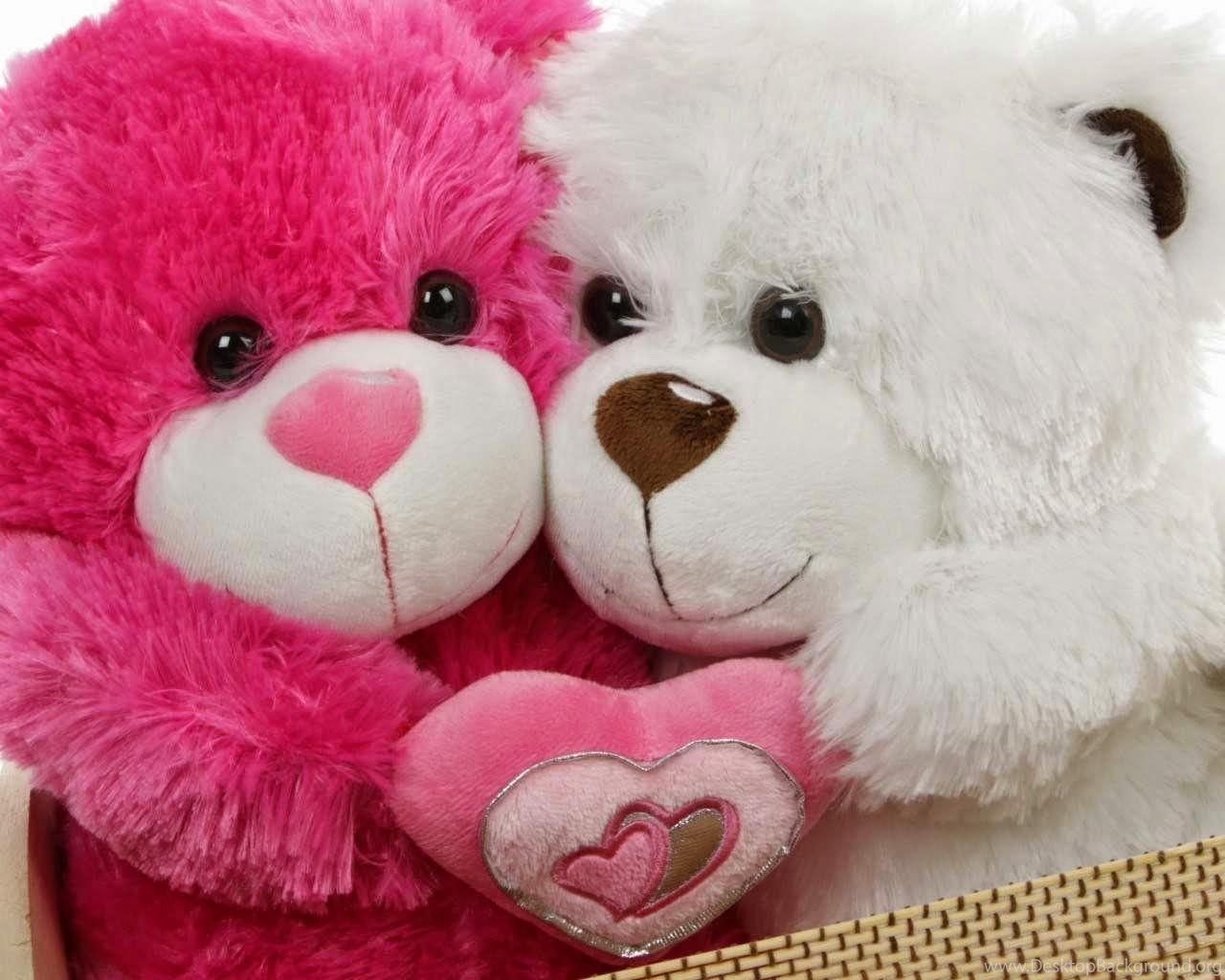 Colorful Bear Wallpapers - Top Free Colorful Bear Backgrounds ...