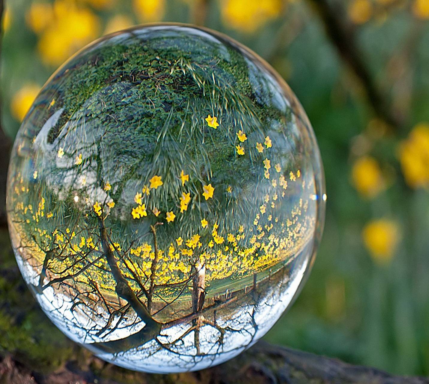 Glass Marbles Wallpapers - Top Free Glass Marbles Backgrounds ...