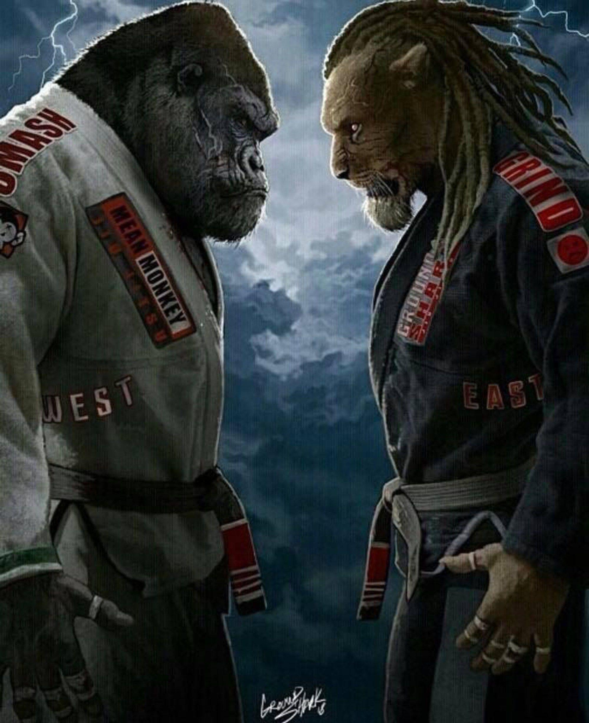 Kyokushin Karate Wallpapers - Top Free Kyokushin Karate Backgrounds ...