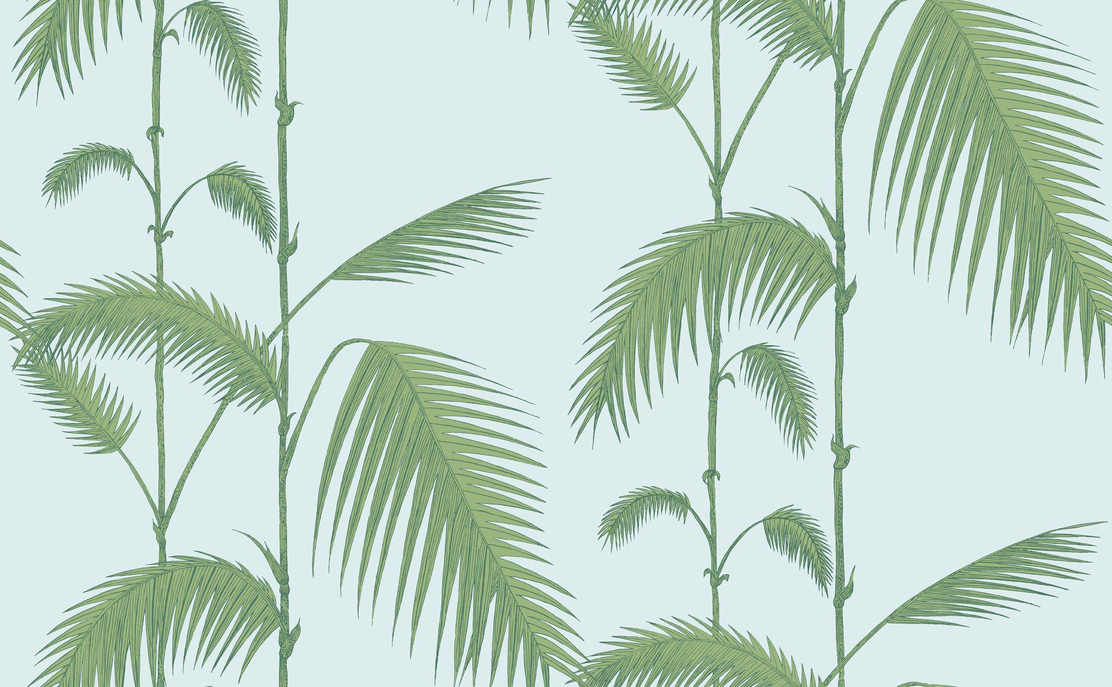 Coconut Leaf Wallpapers - Top Free Coconut Leaf Backgrounds ...