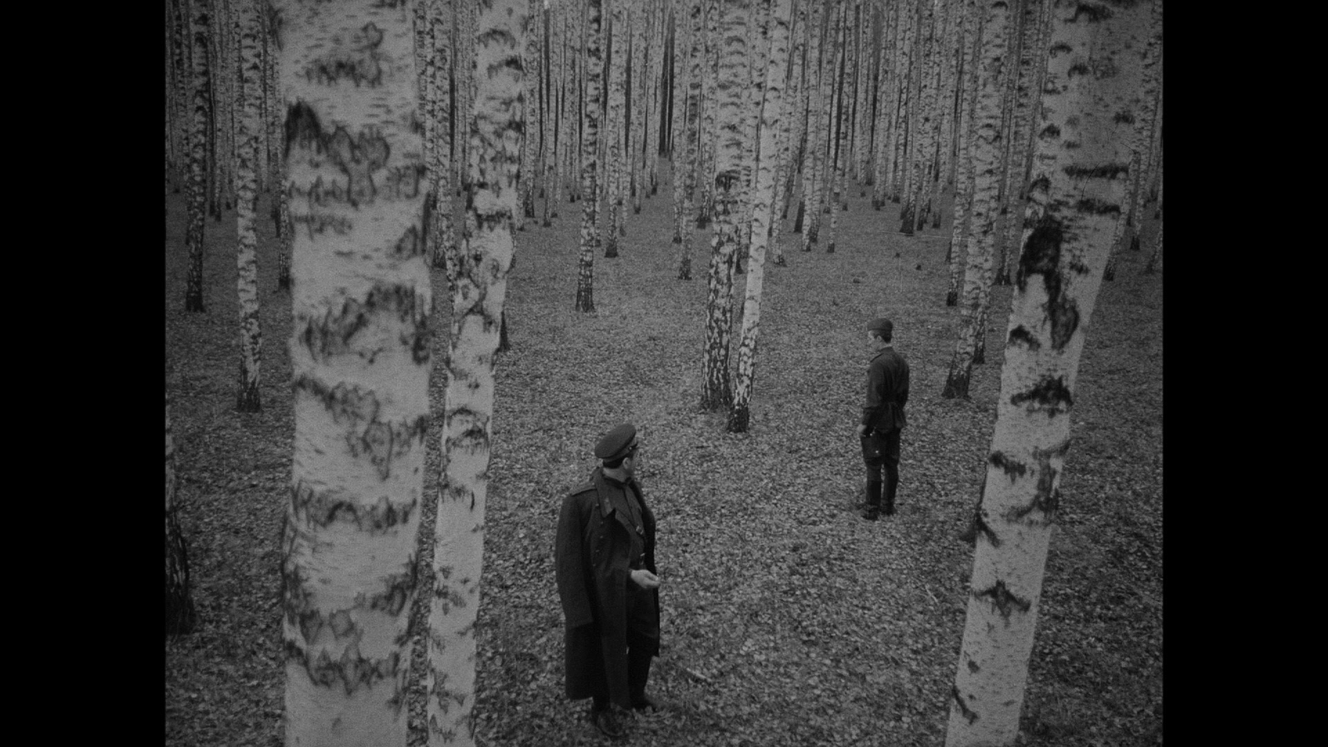 1920 X 1080 Tarkovsky Wallpapers - Top Free 1920 X 1080 Tarkovsky ...