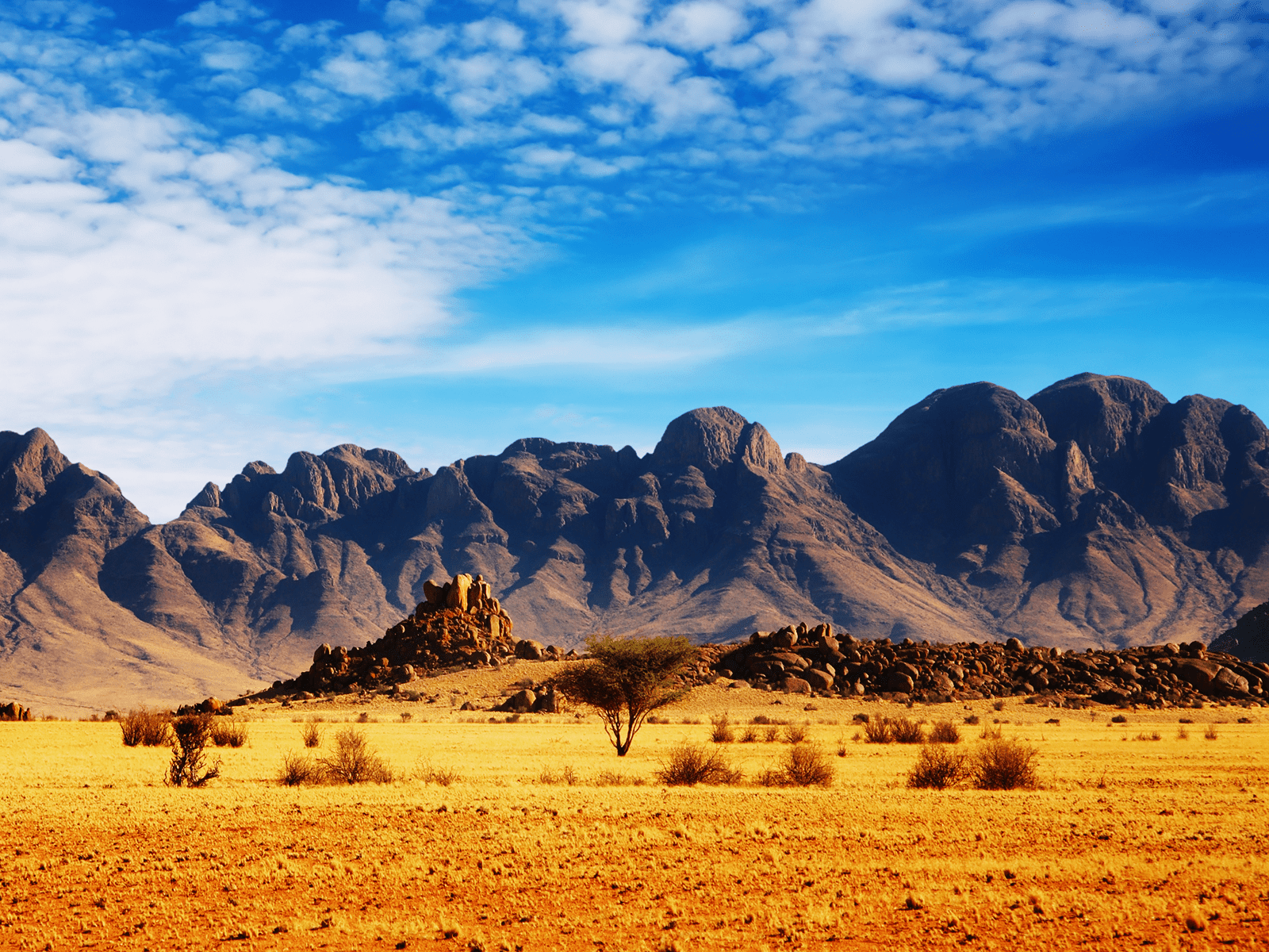 Desert Spring Wallpapers - Top Free Desert Spring Backgrounds ...
