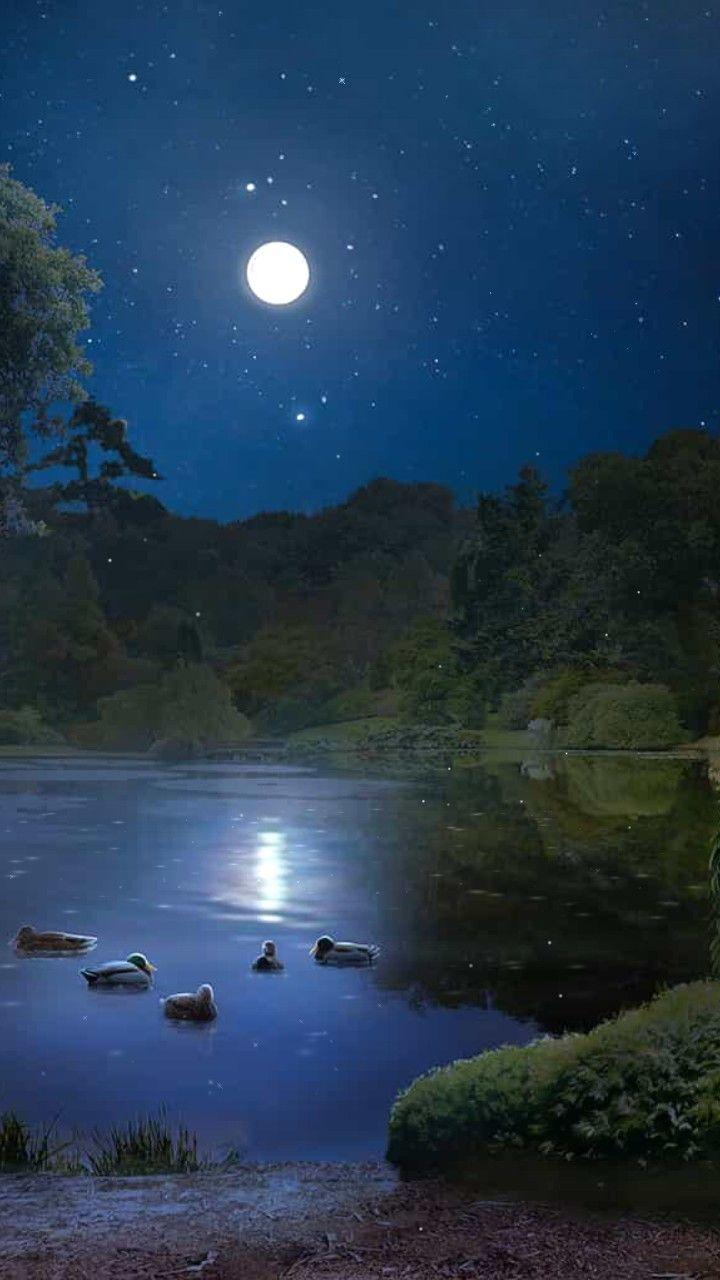 Cool Interactive Wallpapers - Top Free Cool Interactive Backgrounds ...