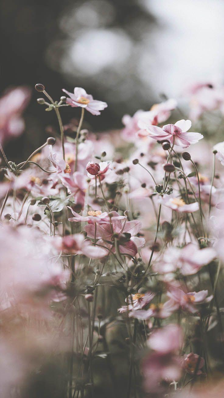 Desert Spring Wallpapers - Top Free Desert Spring Backgrounds ...