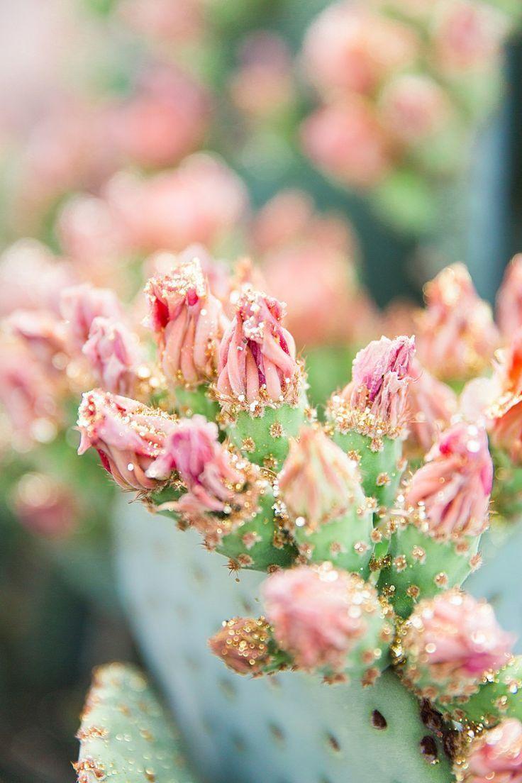 Desert Spring Wallpapers - Top Free Desert Spring Backgrounds ...