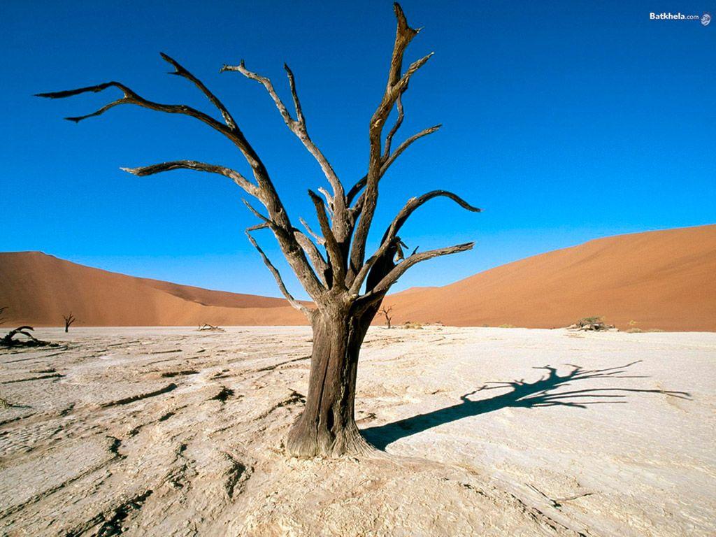 Desert Spring Wallpapers - Top Free Desert Spring Backgrounds ...