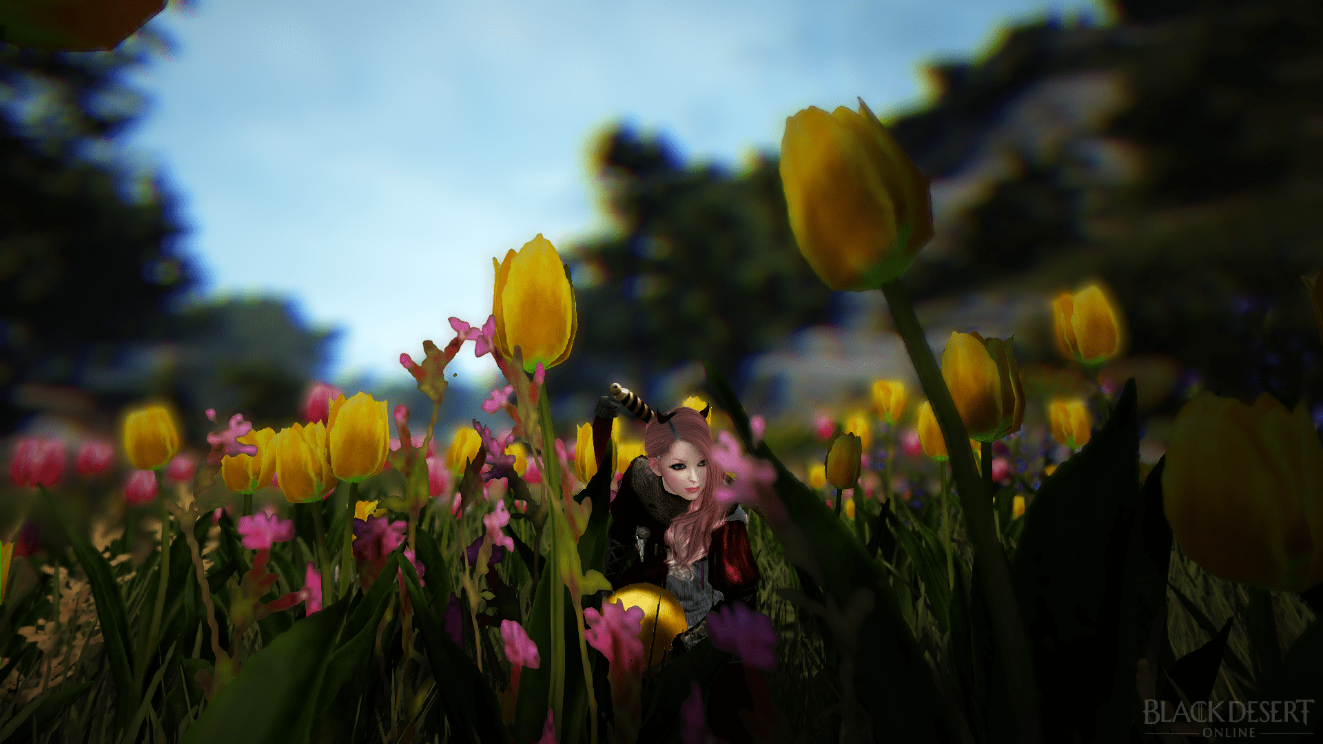 Desert Spring Wallpapers - Top Free Desert Spring Backgrounds ...