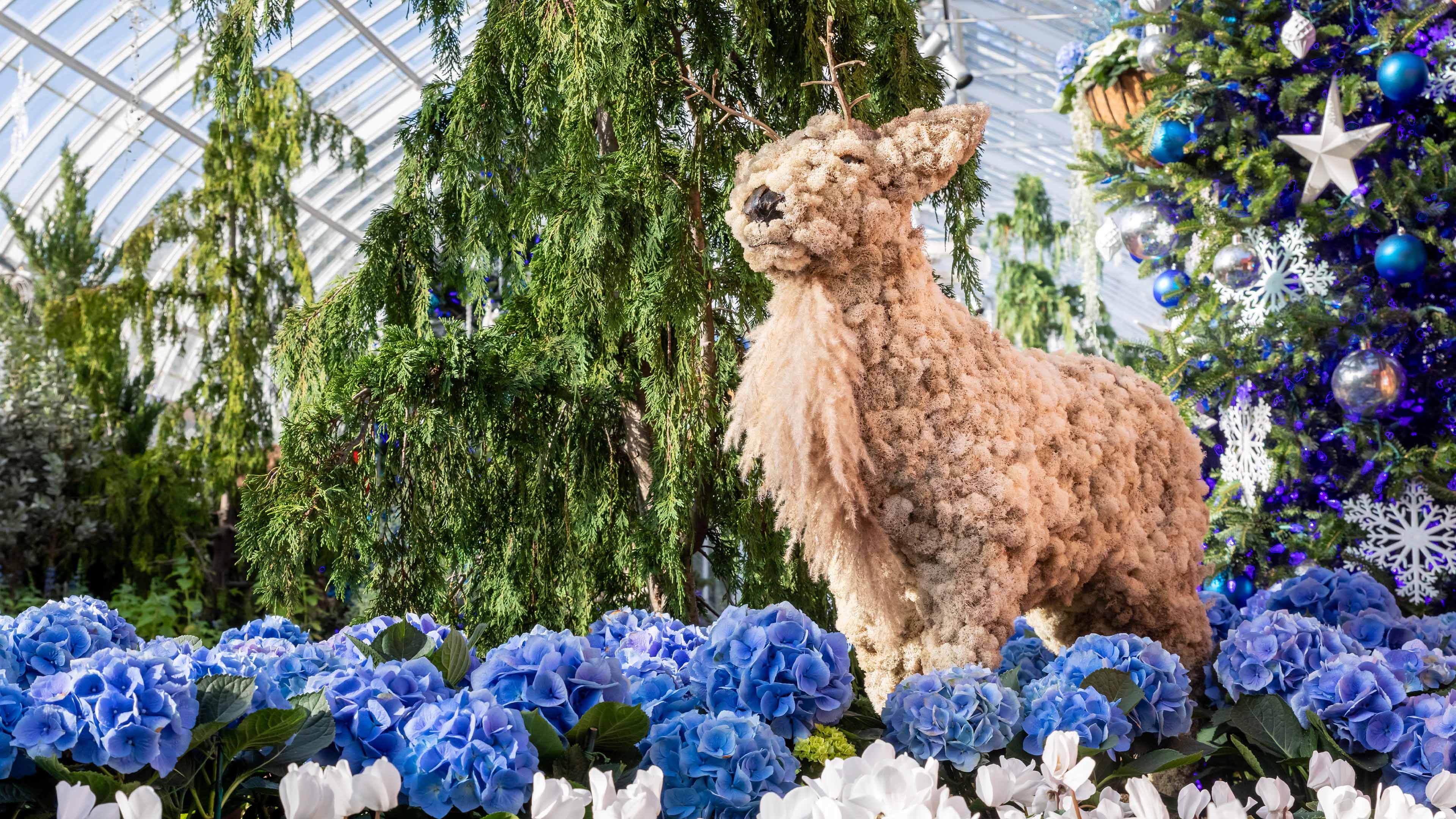 Desert Spring Wallpapers - Top Free Desert Spring Backgrounds ...