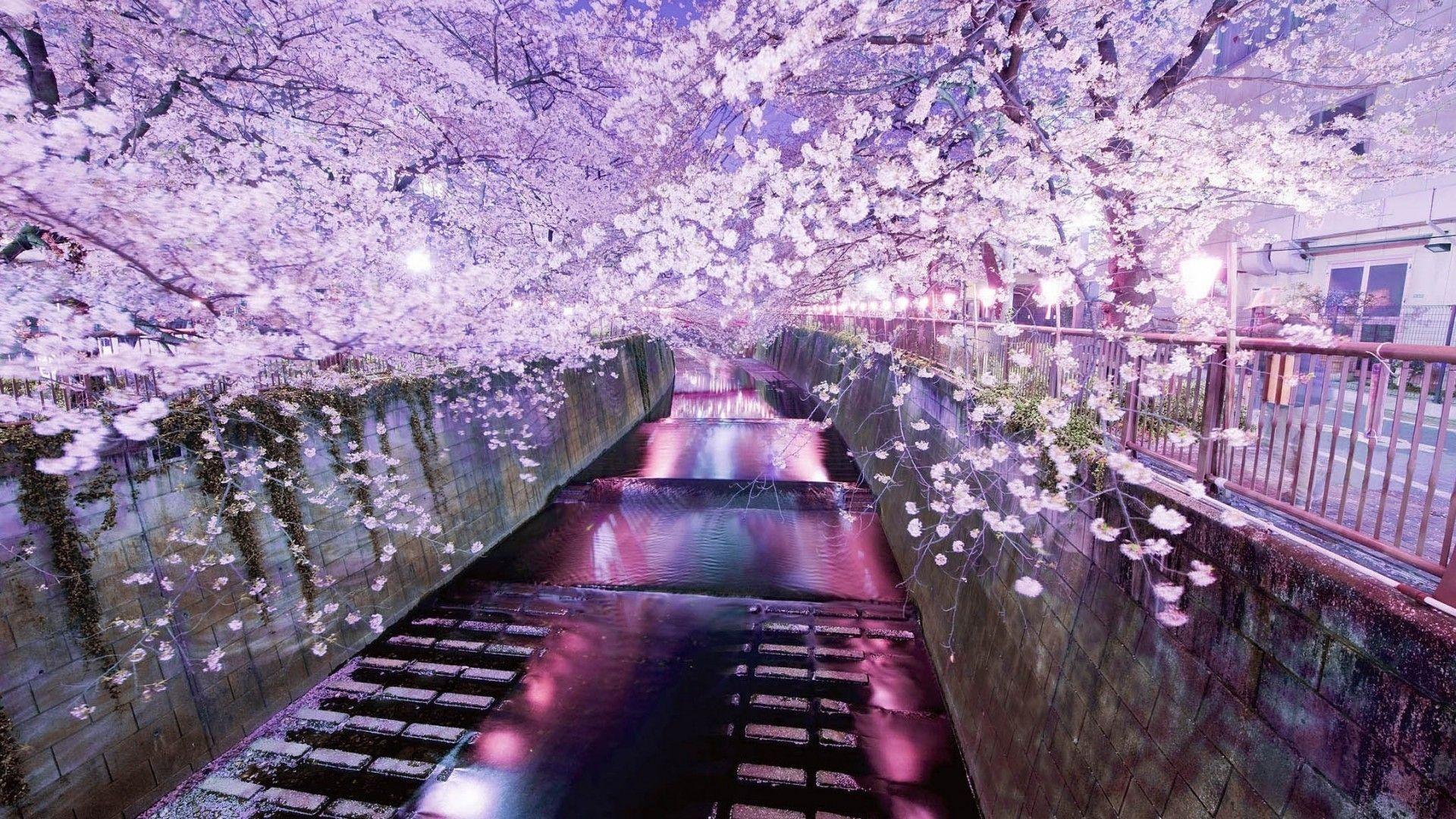 Tokyo Water Wallpapers - Top Free Tokyo Water Backgrounds - WallpaperAccess