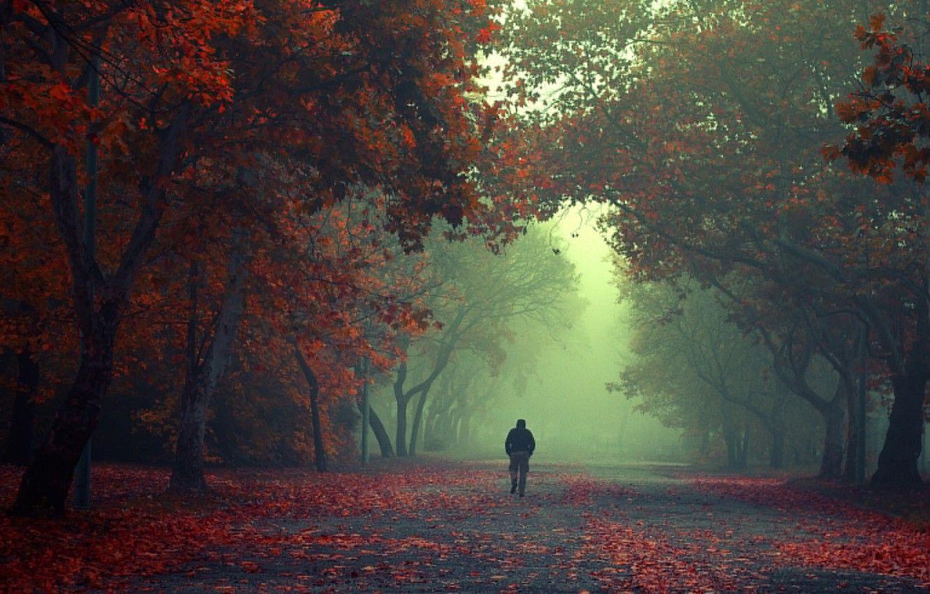 Man Walking Wallpapers - Top Free Man Walking Backgrounds - WallpaperAccess