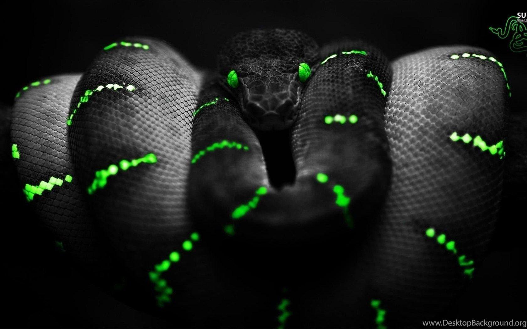 Razer Desktop Wallpapers - Top Free Razer Desktop Backgrounds ...