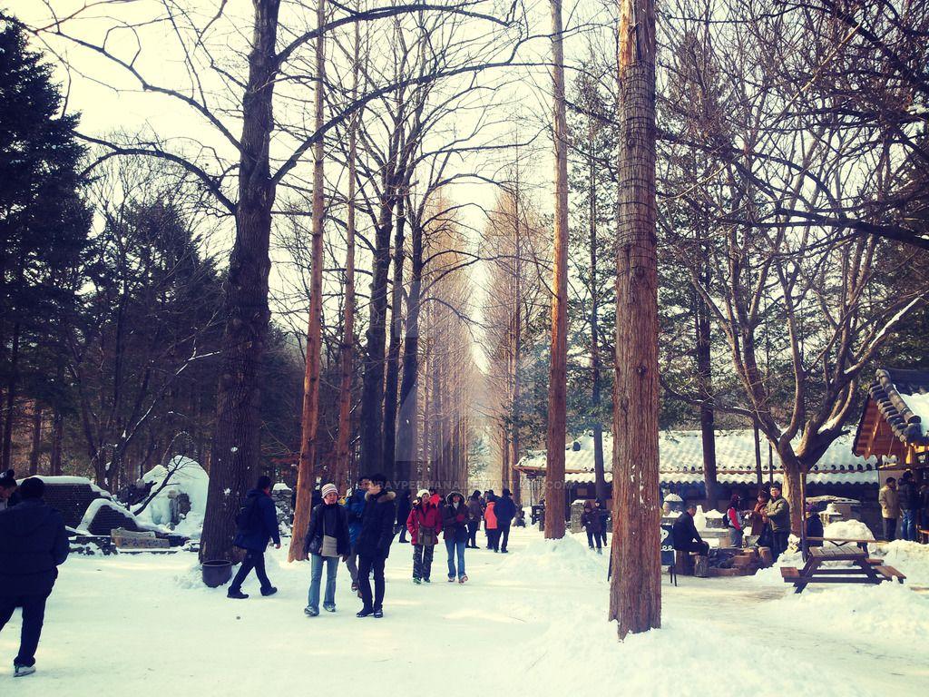 Nami Island Wallpapers - Top Free Nami Island Backgrounds - WallpaperAccess