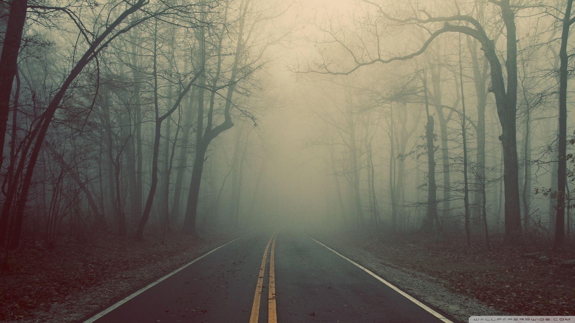 Fog HD Wallpapers - Top Free Fog HD Backgrounds - WallpaperAccess