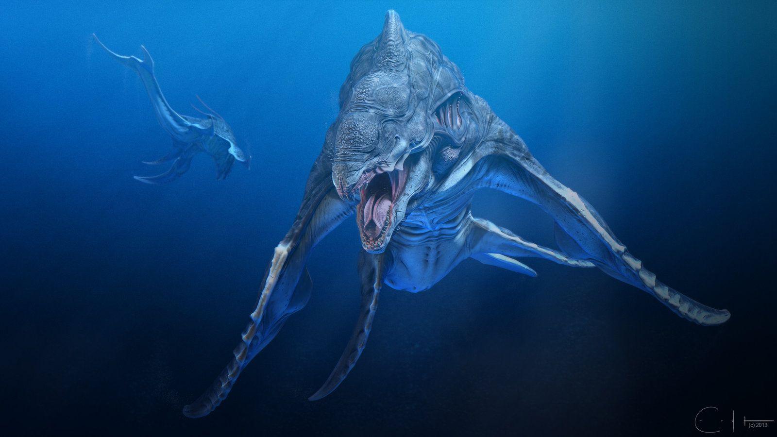 Deep Sea Creatures Wallpapers - Top Free Deep Sea Creatures Backgrounds ...