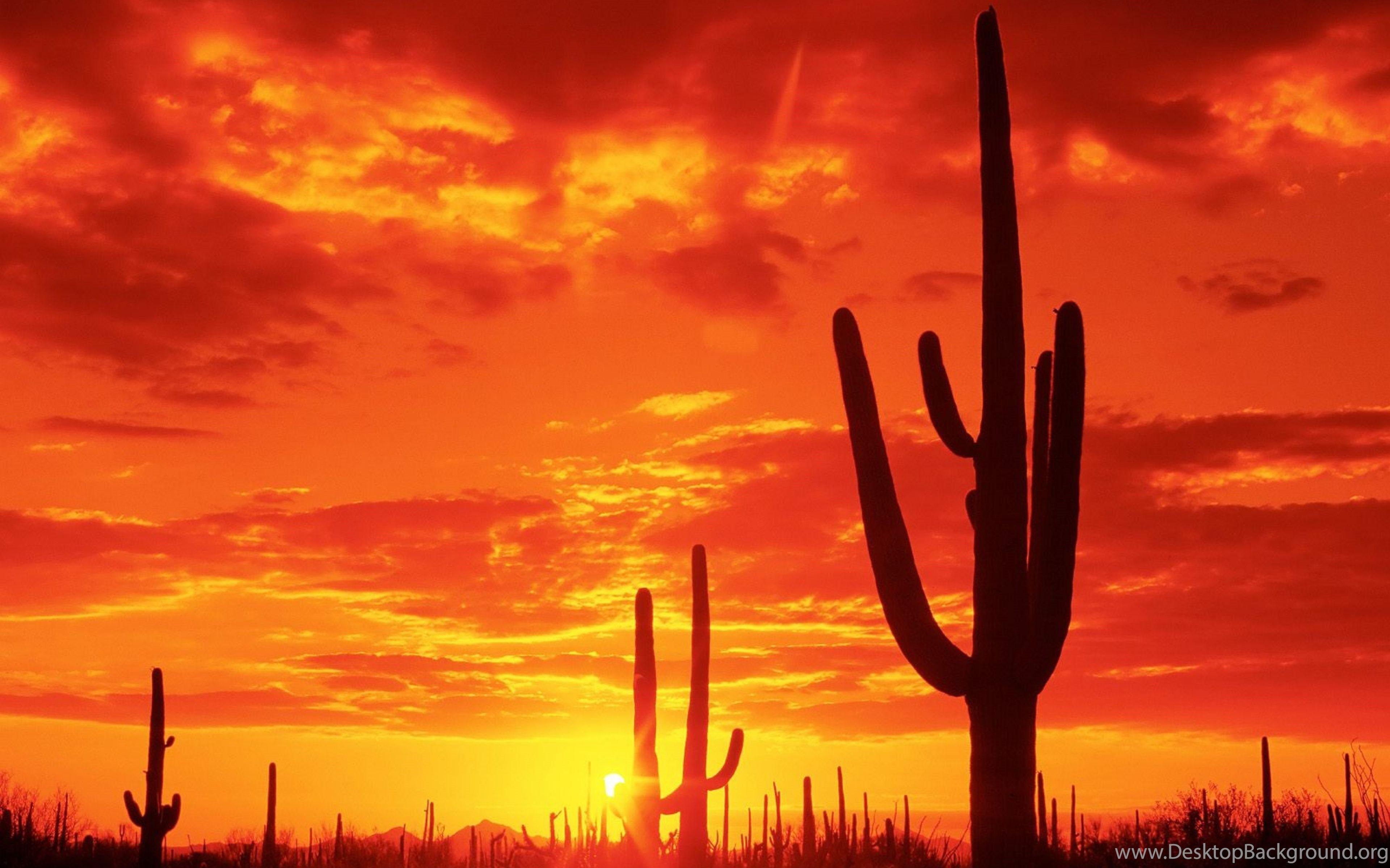 Arizona Desktop Wallpapers - Top Free Arizona Desktop Backgrounds ...