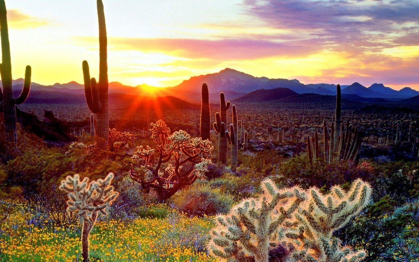 Tucson Arizona Wallpapers - Top Free Tucson Arizona Backgrounds ...