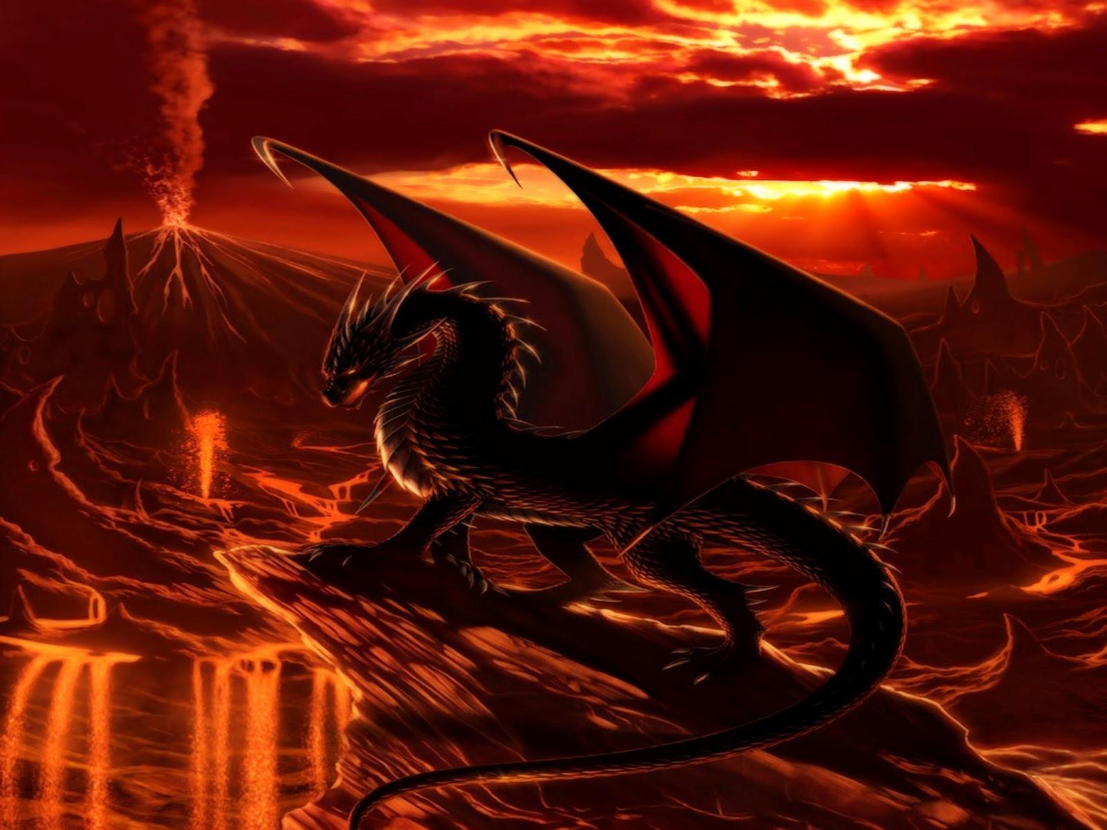 Angry Dragon Wallpapers - Top Free Angry Dragon Backgrounds ...