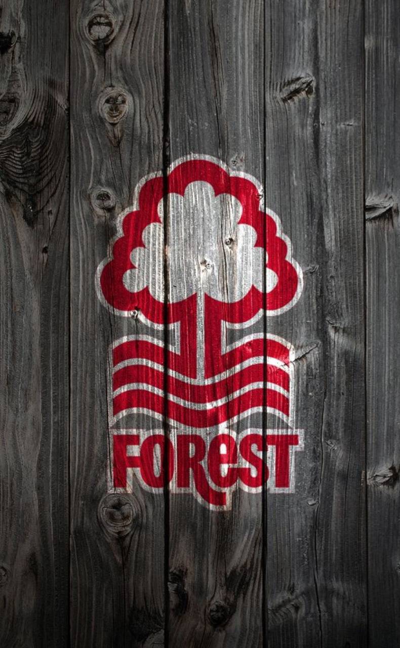 Nottingham Forest Wallpapers - Top Free Nottingham Forest Backgrounds ...