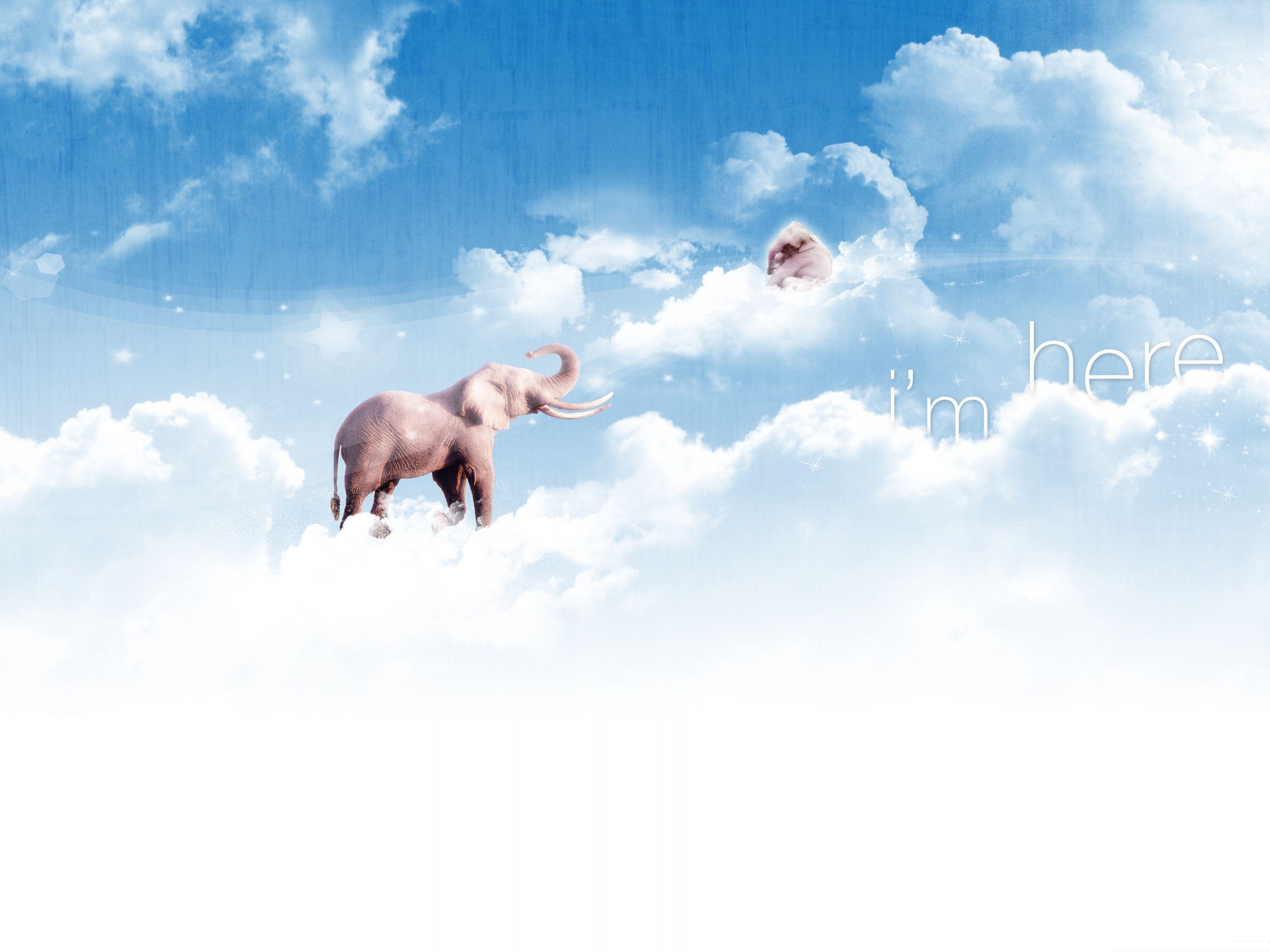 Cry Babies Wallpapers - Top Free Cry Babies Backgrounds - WallpaperAccess