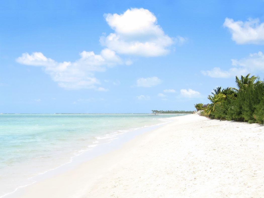 Florida Beach Wallpapers - Top Free Florida Beach Backgrounds ...