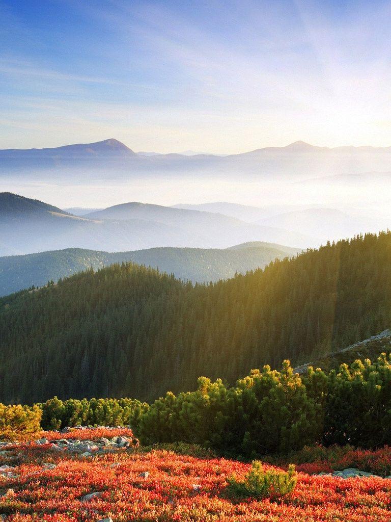 Nature Portrait Wallpapers - Top Free Nature Portrait Backgrounds ...