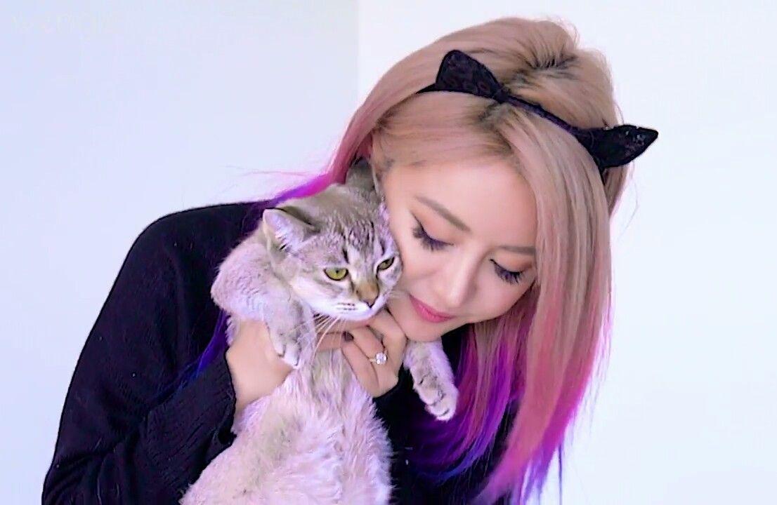 Wengie Wallpapers - Top Free Wengie Backgrounds - WallpaperAccess