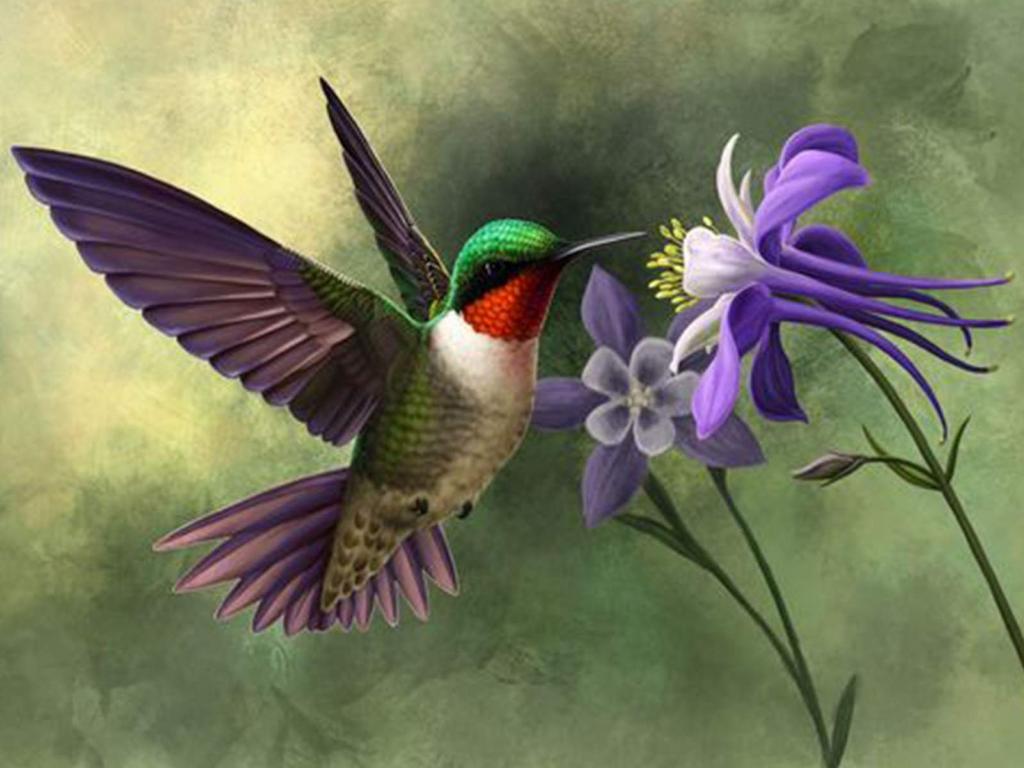 Abstract Hummingbird Wallpapers - Top Free Abstract Hummingbird ...