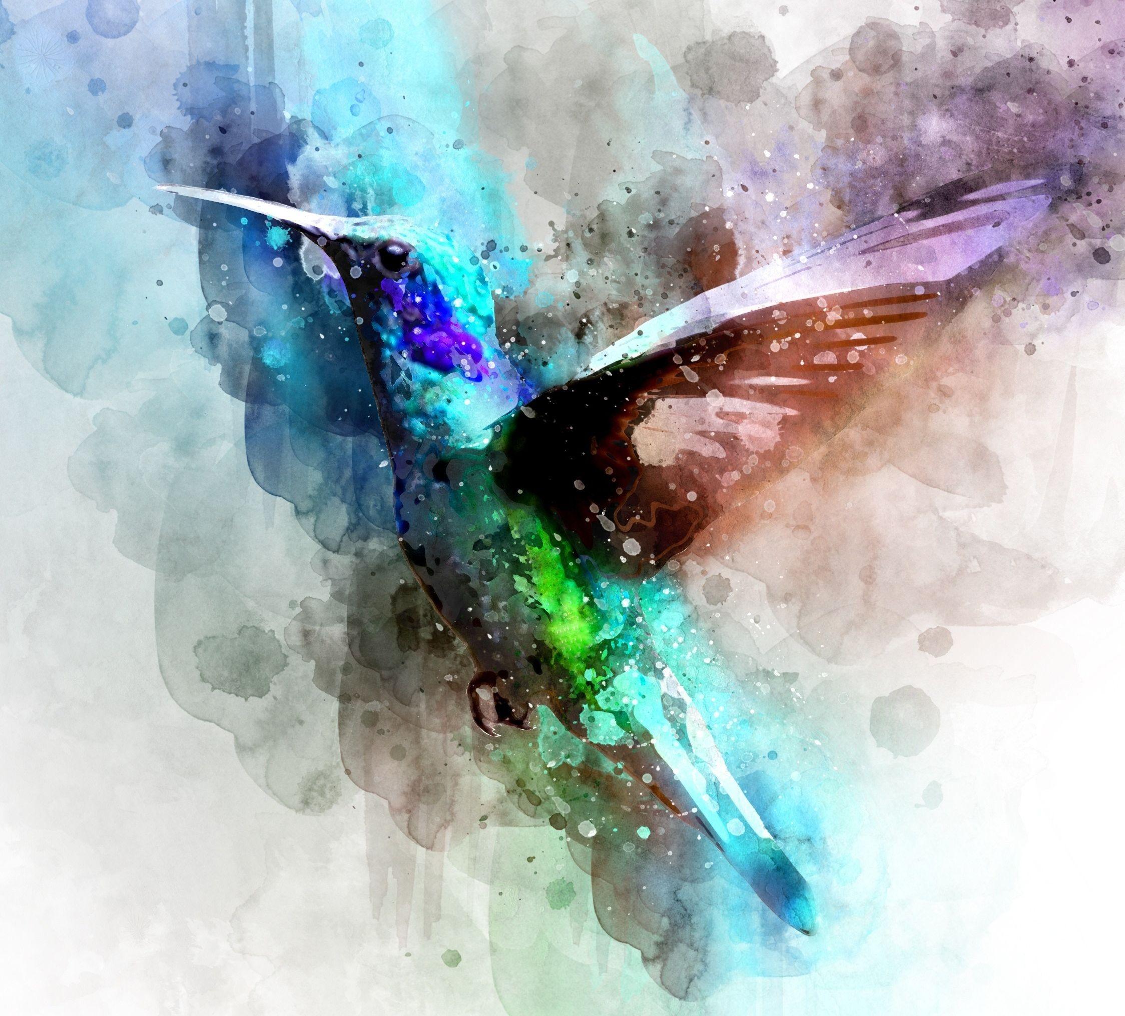 Abstract Hummingbird Wallpapers - Top Free Abstract Hummingbird ...