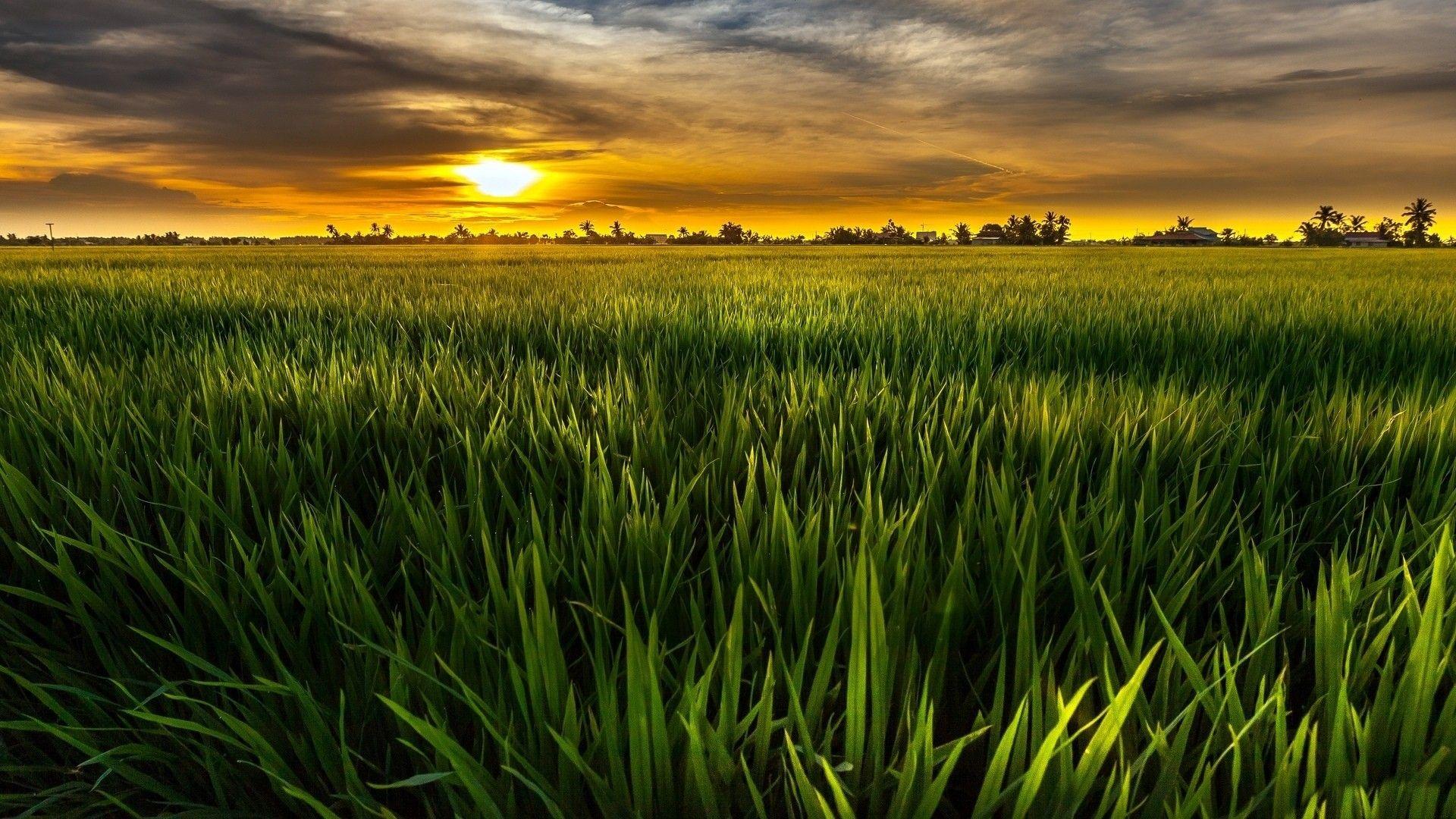 Nature Health Wallpapers