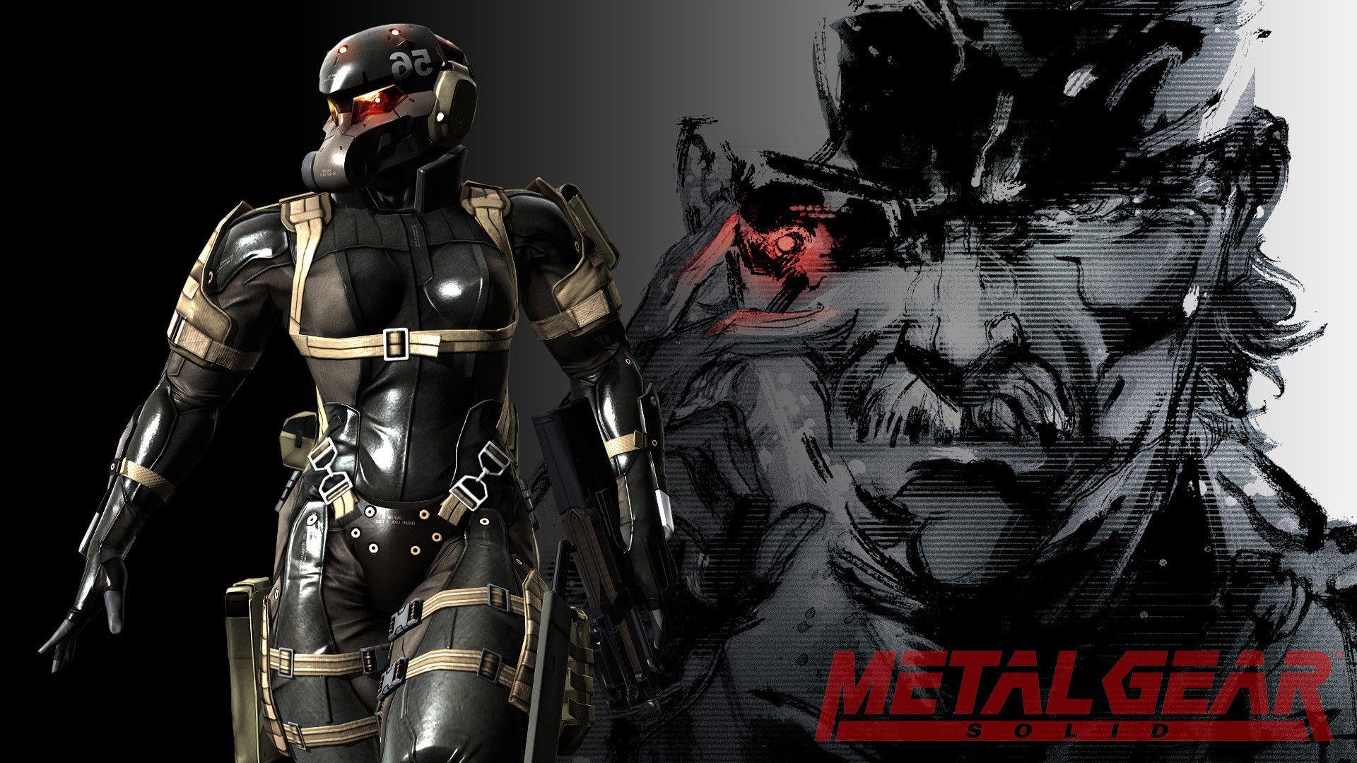 Grey Fox Wallpapers - Top Free Grey Fox Backgrounds - WallpaperAccess