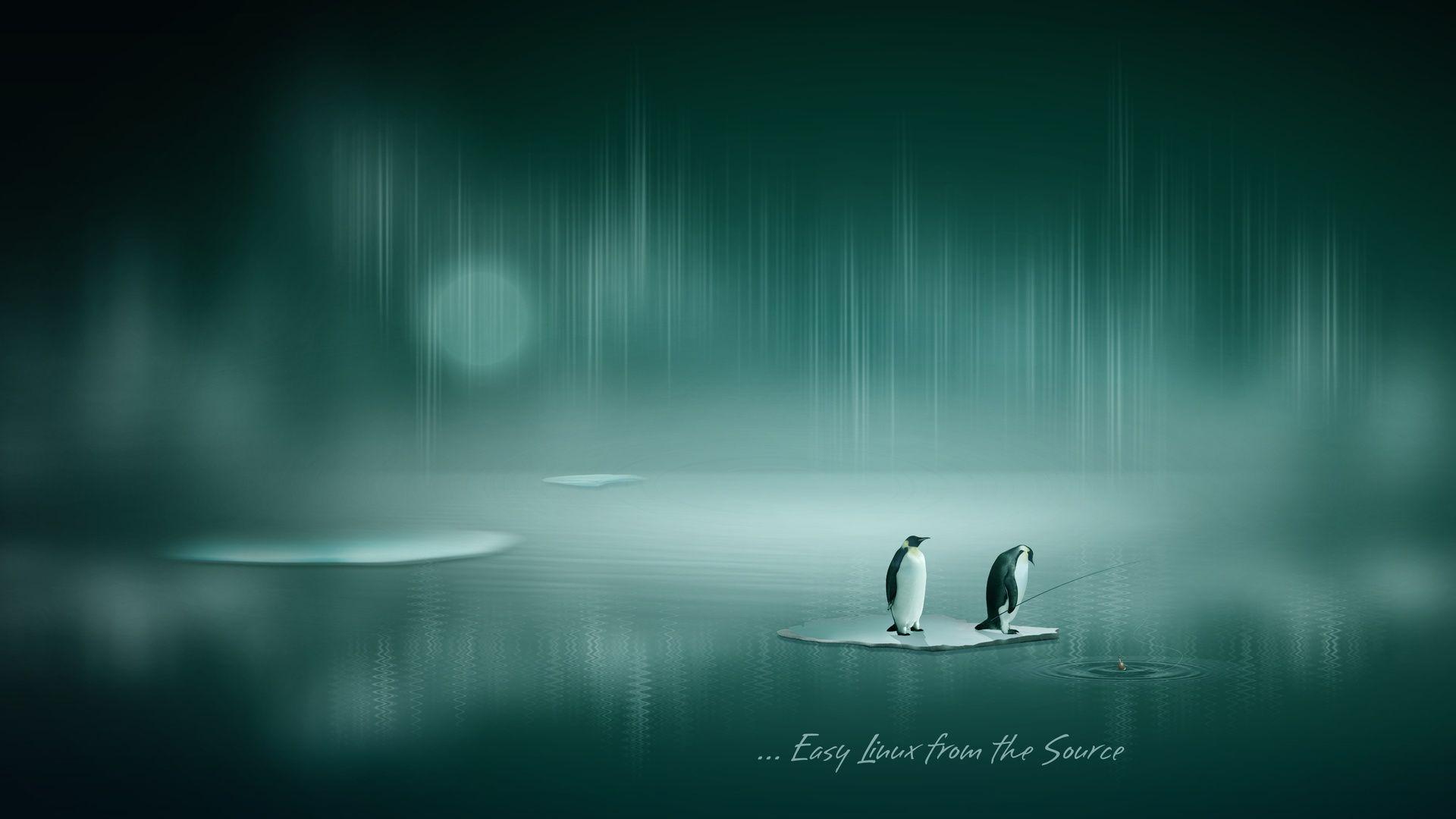 Parrot Linux Wallpapers - Top Free Parrot Linux Backgrounds ...