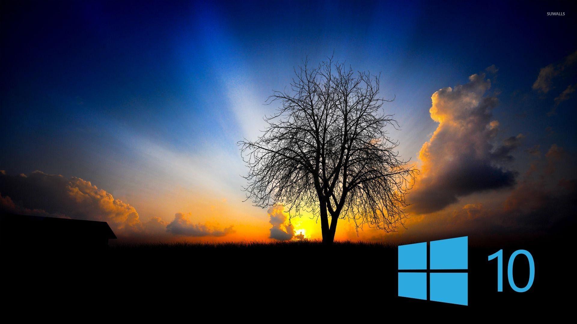 Windows Laptop Wallpapers - Top Free Windows Laptop Backgrounds ...