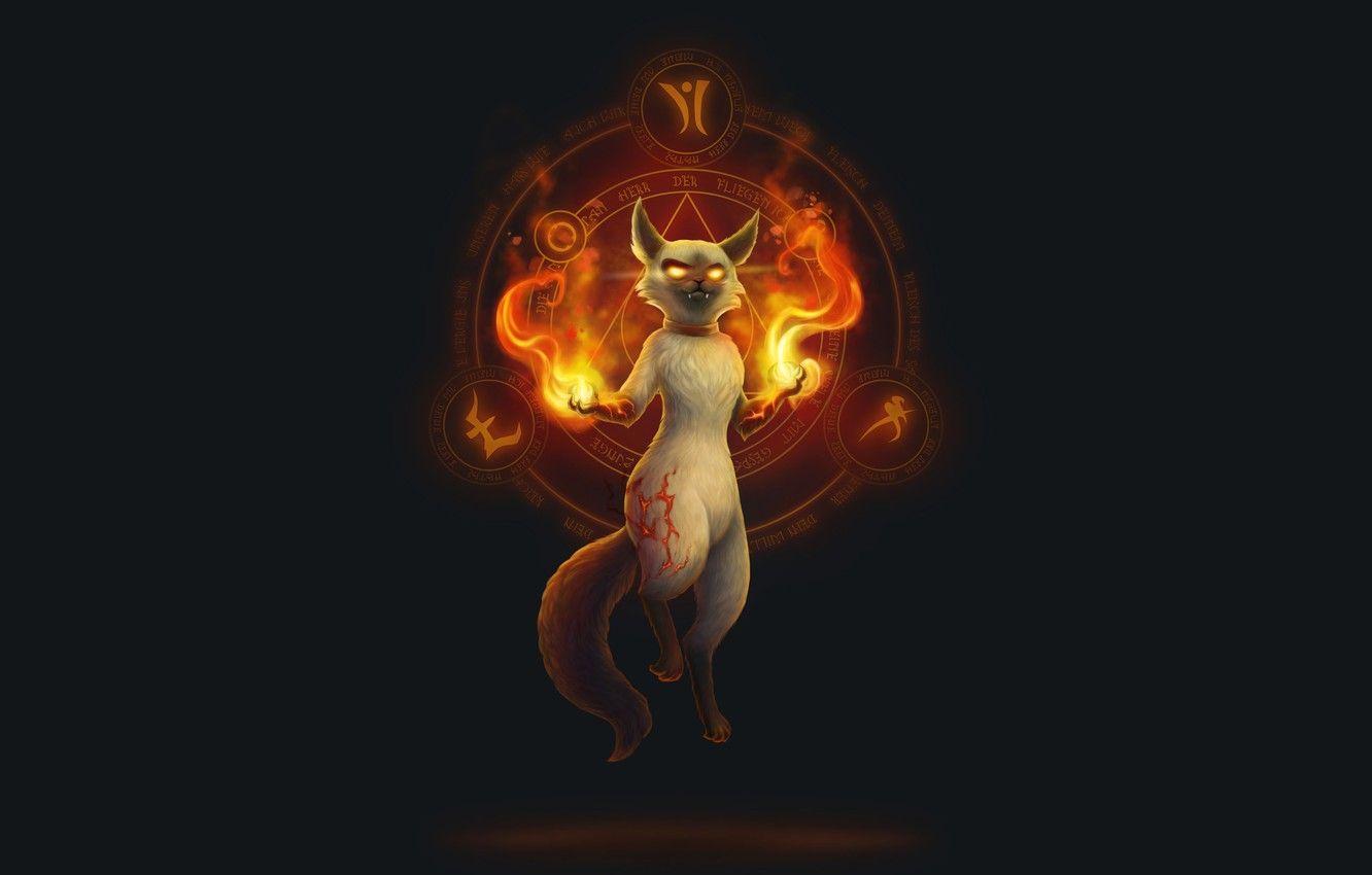Demon Cat Wallpapers - Top Free Demon Cat Backgrounds - WallpaperAccess