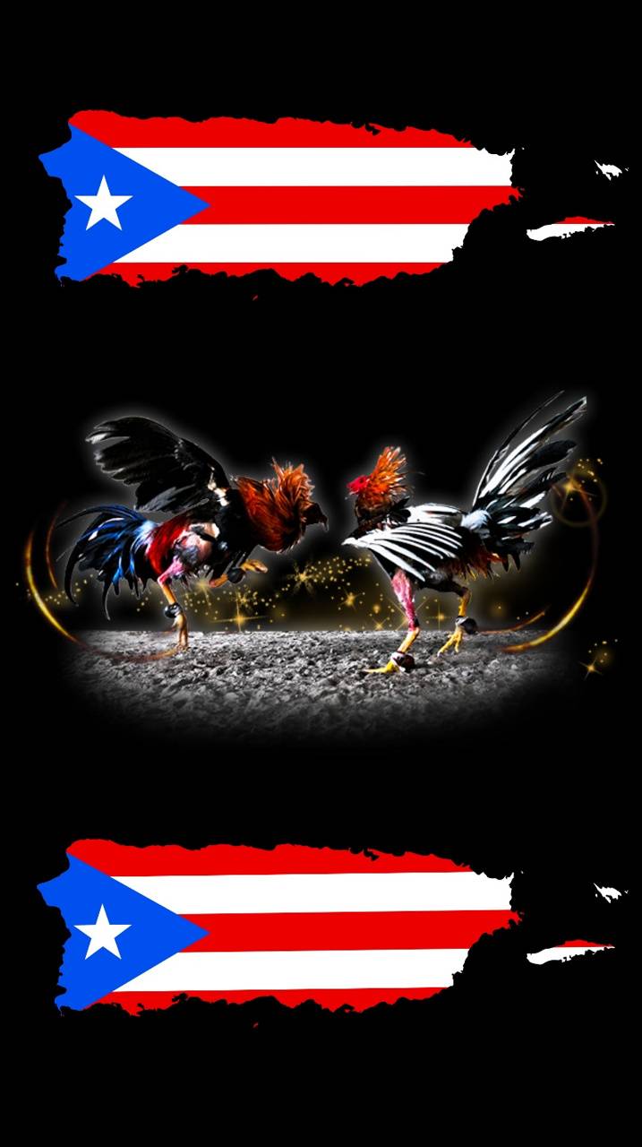 Puerto Rican Wallpapers - Top Free Puerto Rican Backgrounds ...