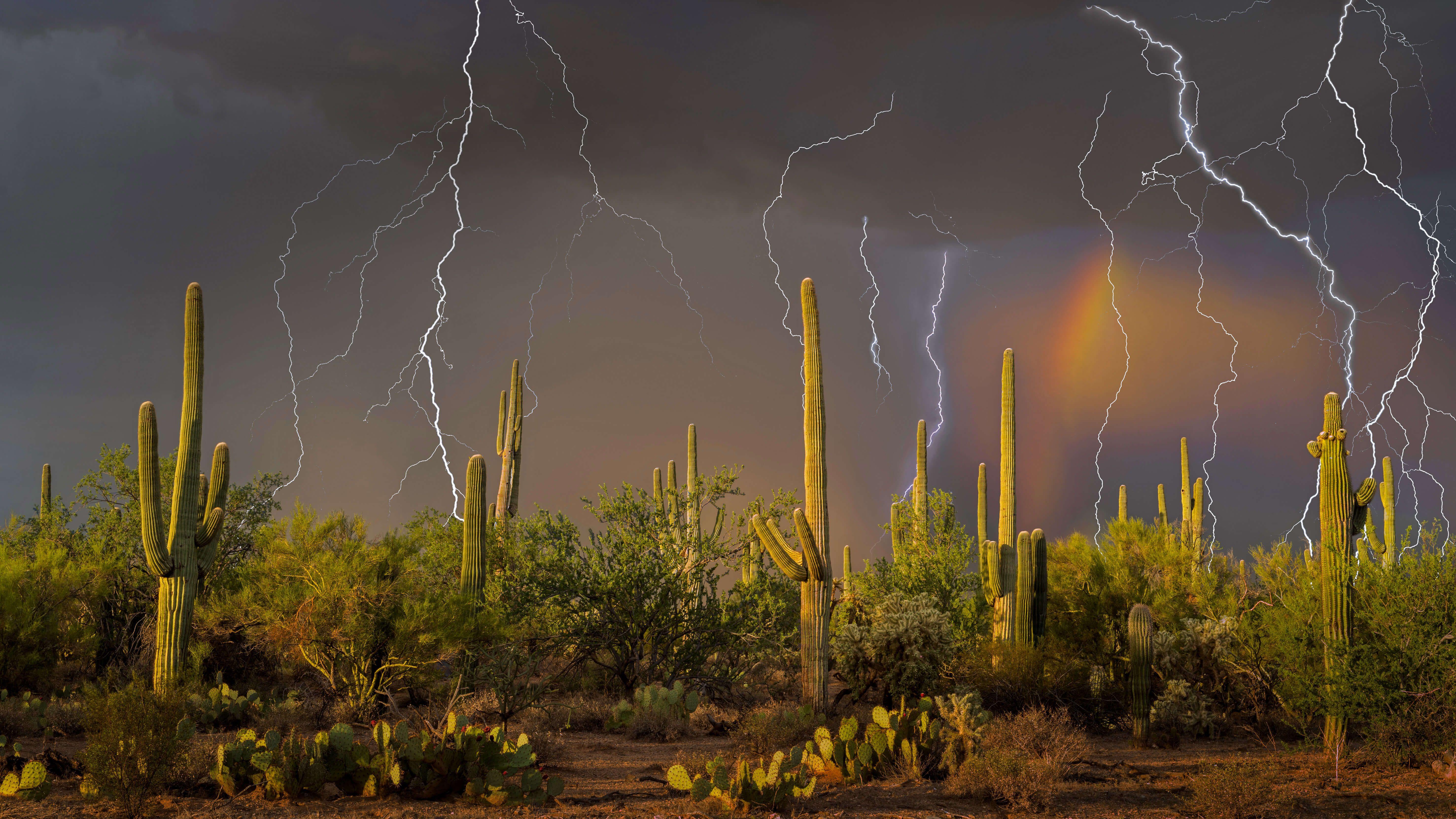 Arizona Monsoon Wallpapers - Top Free Arizona Monsoon Backgrounds ...