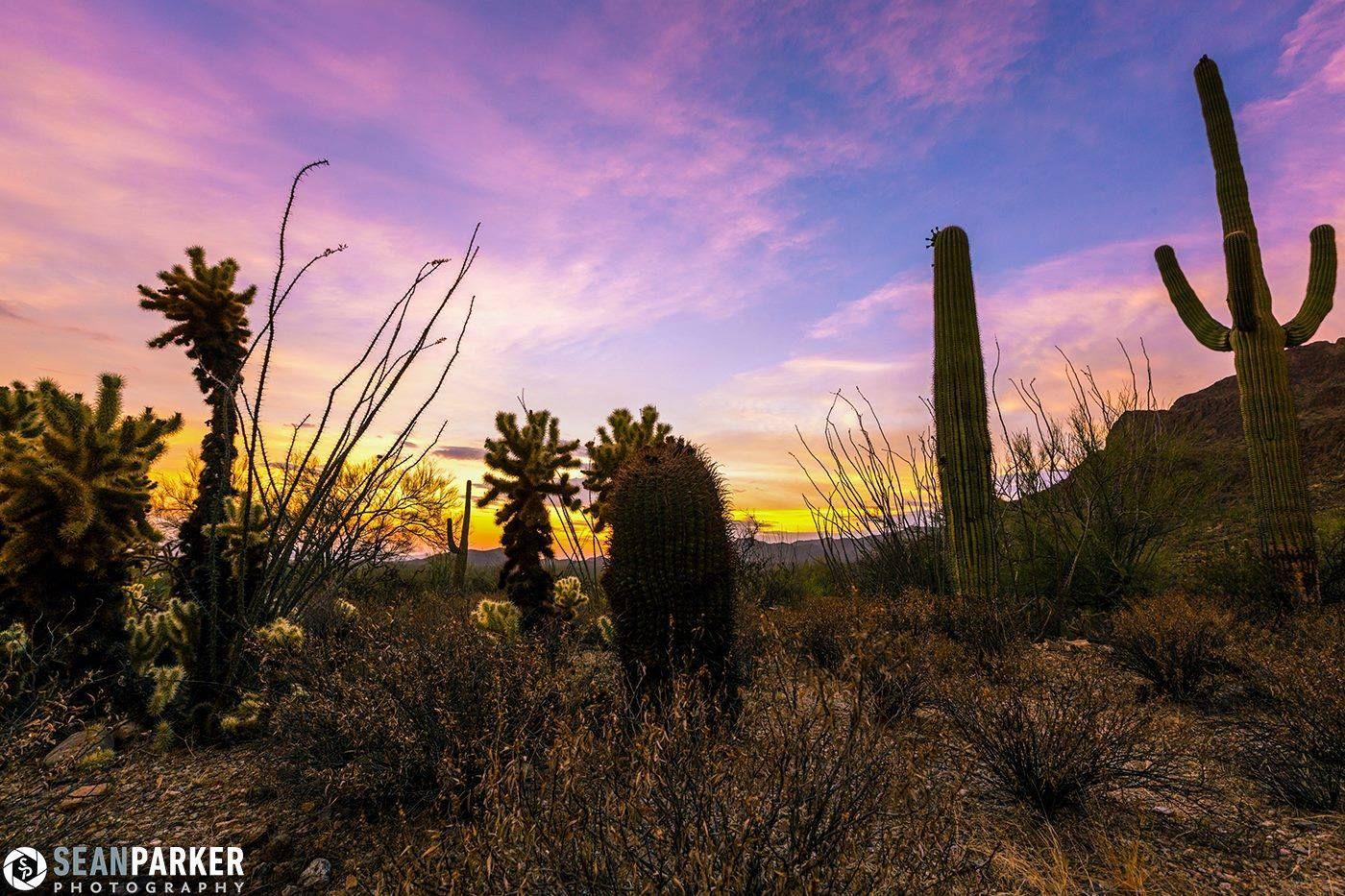 Tucson Sunset Wallpapers - Top Free Tucson Sunset Backgrounds ...