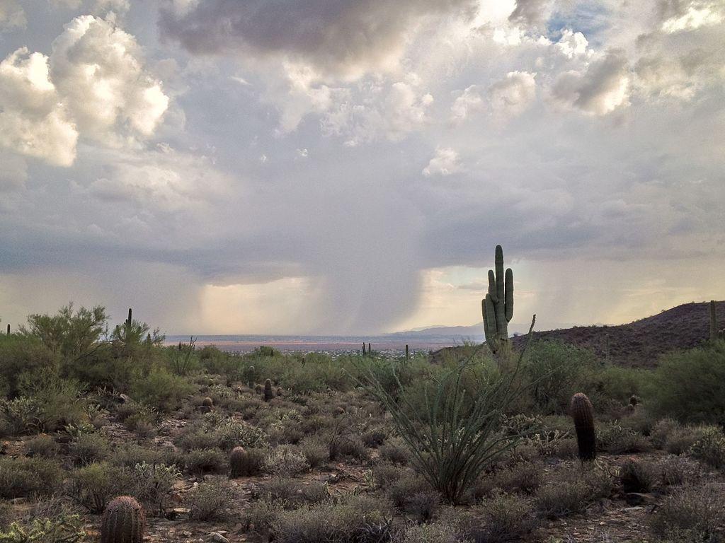 Arizona Monsoon Wallpapers - Top Free Arizona Monsoon Backgrounds ...