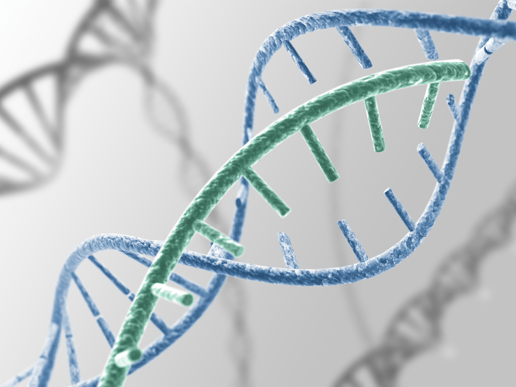 Gene Wallpapers - Top Free Gene Backgrounds - WallpaperAccess