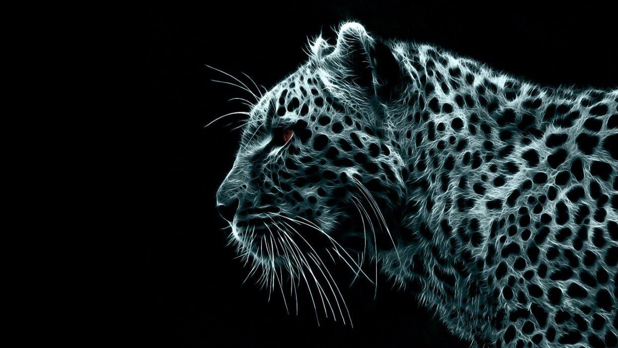 Jaguar Cat Wallpapers - Top Free Jaguar Cat Backgrounds - WallpaperAccess