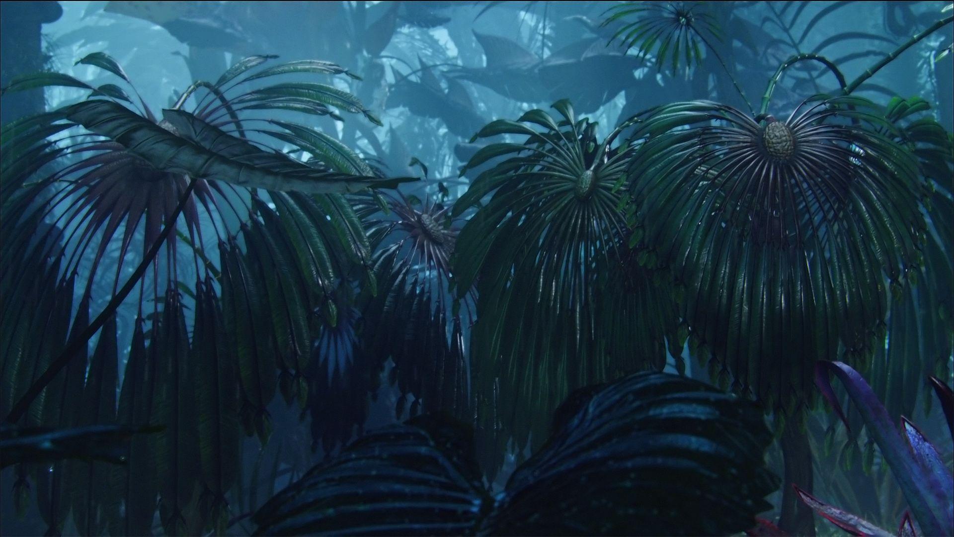 Avatar Tree Wallpapers - Top Free Avatar Tree Backgrounds - WallpaperAccess