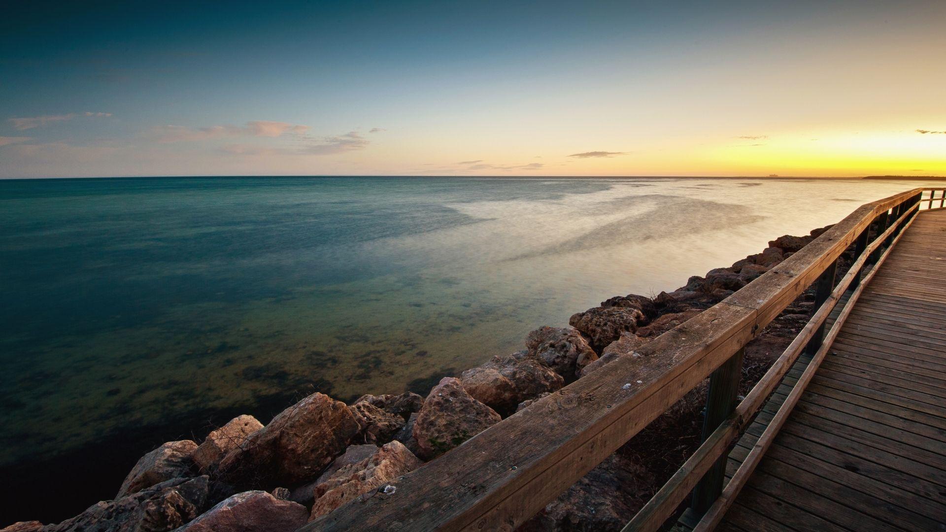 Clam Wallpapers - Top Free Clam Backgrounds - WallpaperAccess