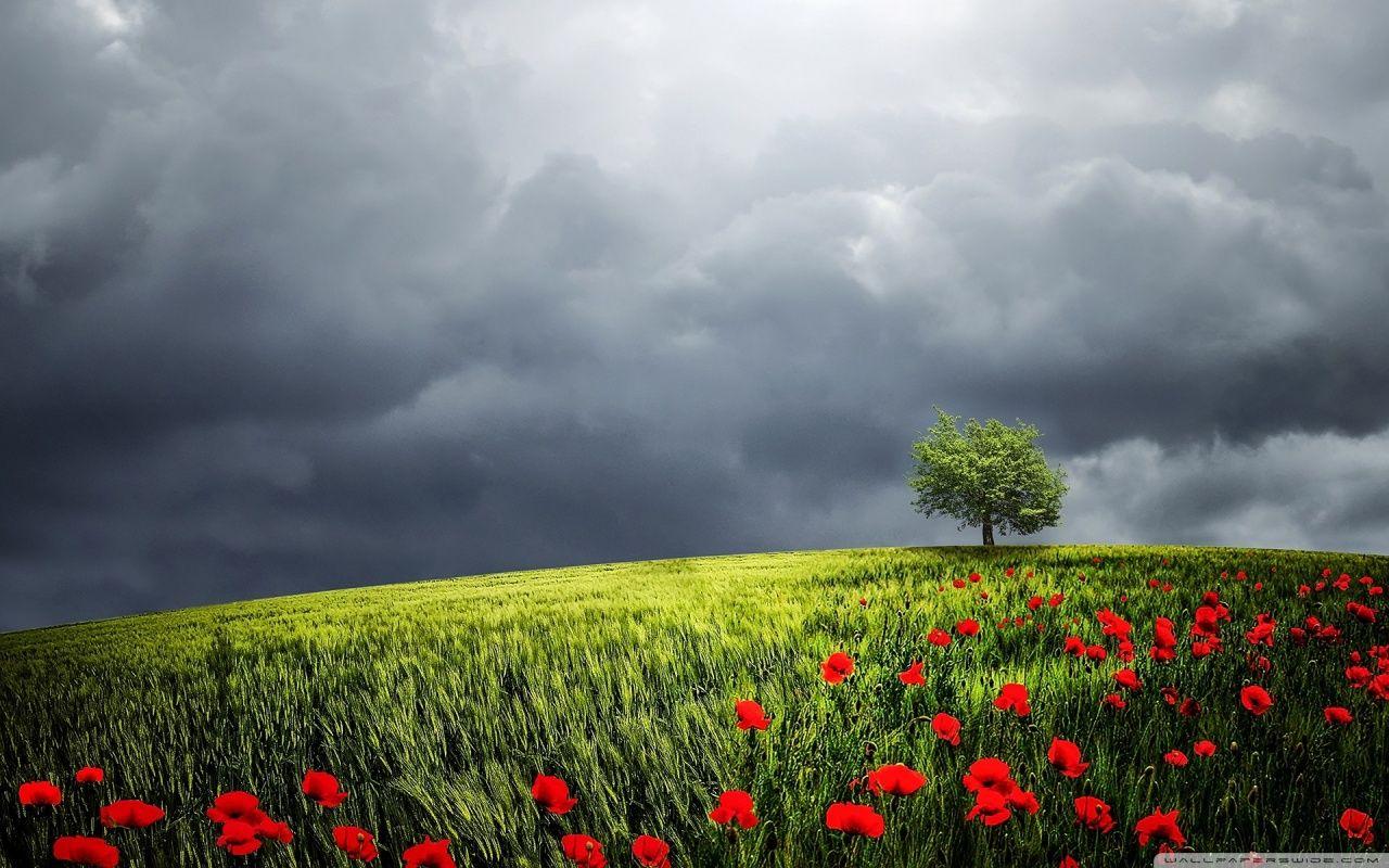 Spring Storm Wallpapers - Top Free Spring Storm Backgrounds ...
