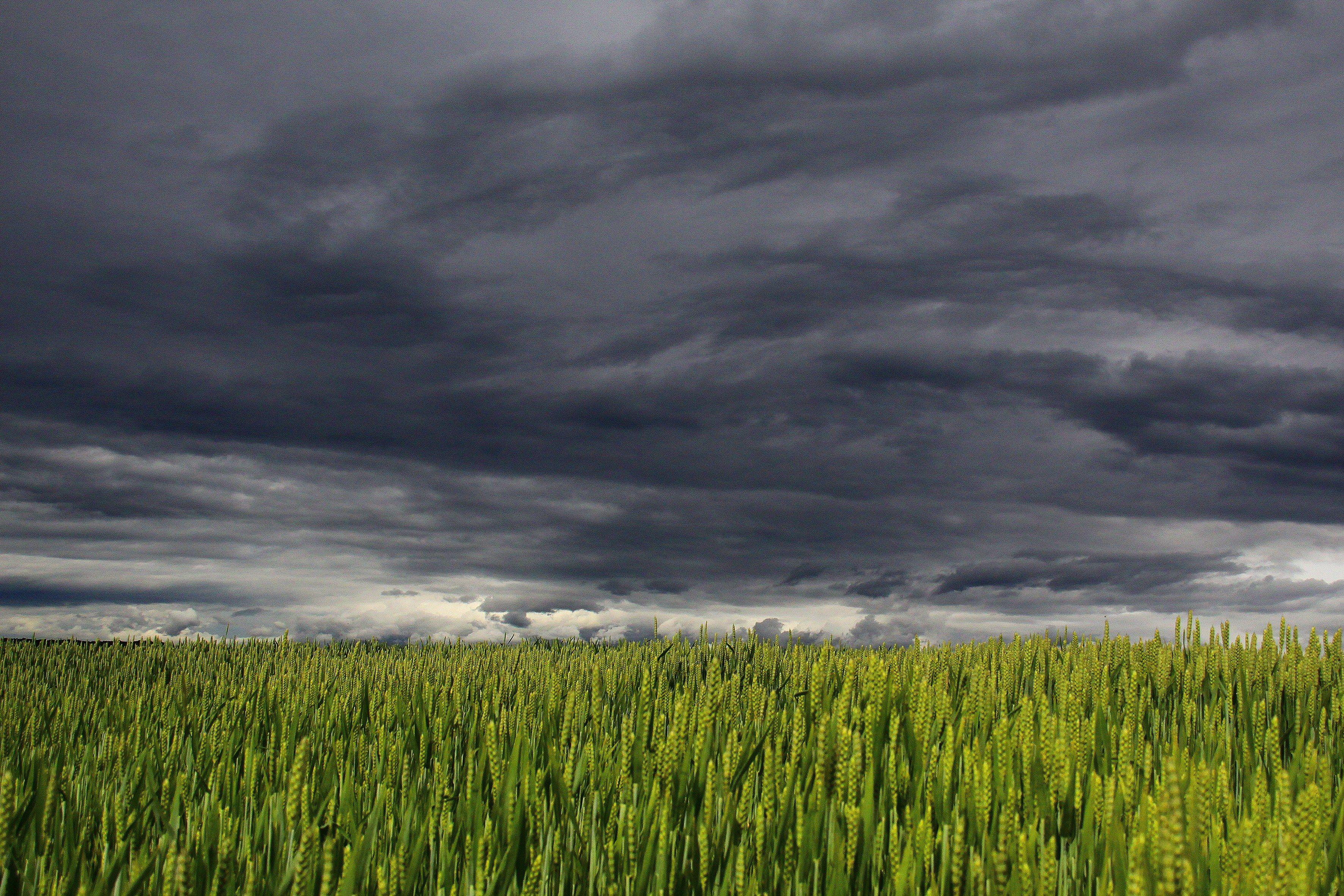 Summer Storm Wallpapers - Top Free Summer Storm Backgrounds ...
