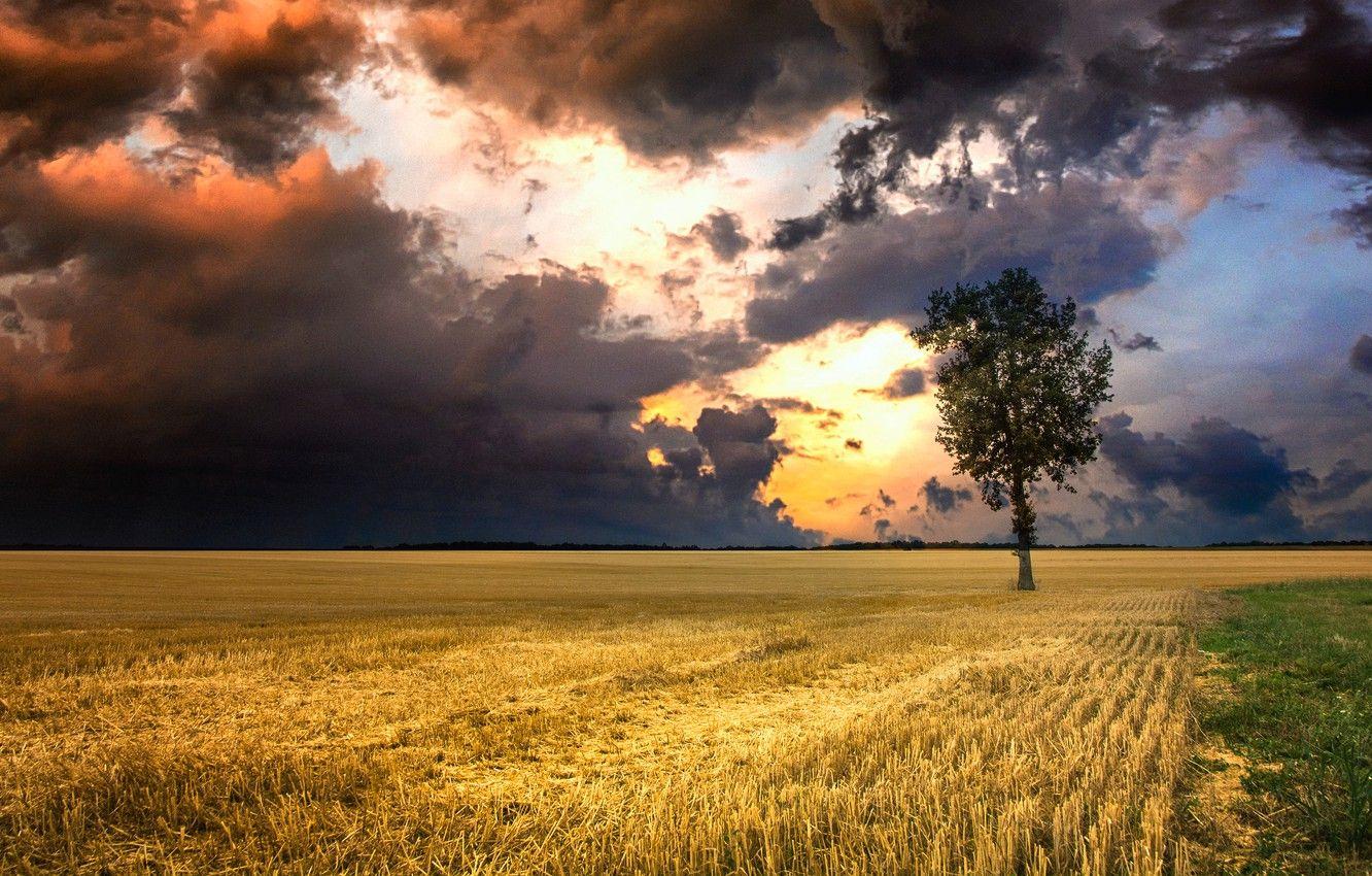 Summer Storm Wallpapers - Top Free Summer Storm Backgrounds ...
