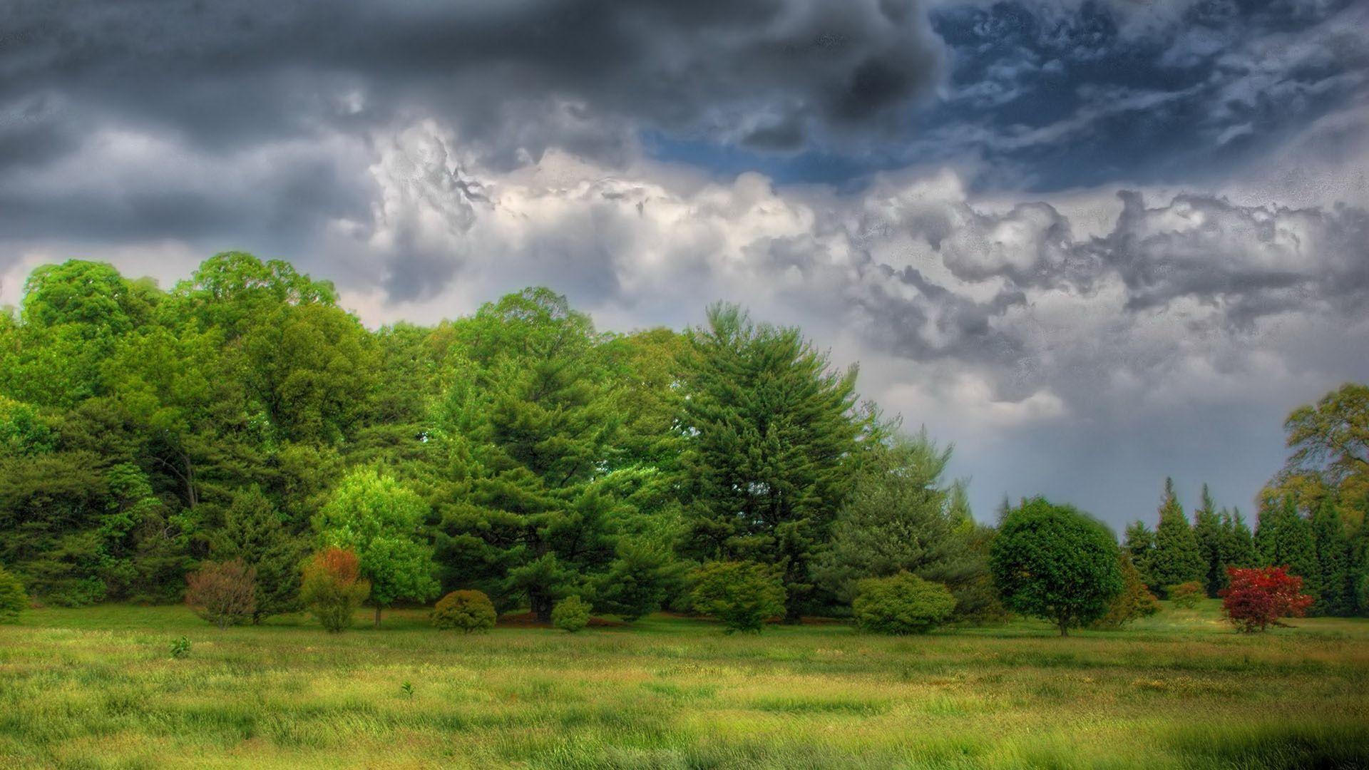 Summer Storm Wallpapers - Top Free Summer Storm Backgrounds ...