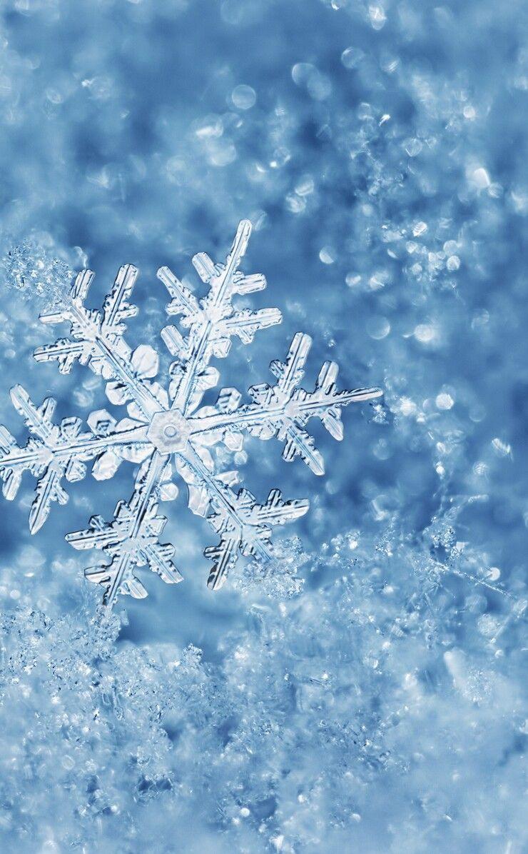 Winter Ice Wallpapers - Top Free Winter Ice Backgrounds - WallpaperAccess